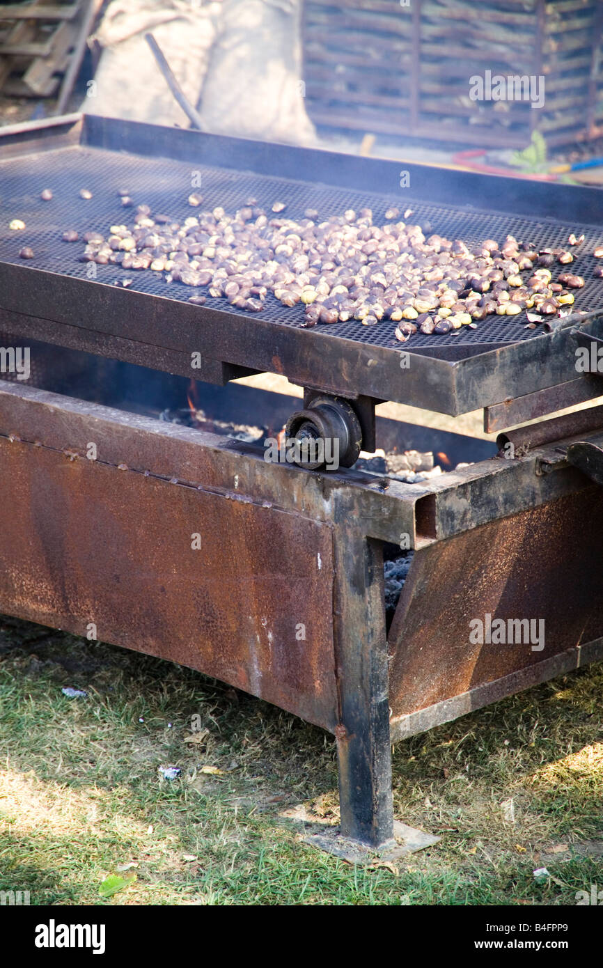 Roasting chestnuts open-air at farmers market Stock Photo - Alamy