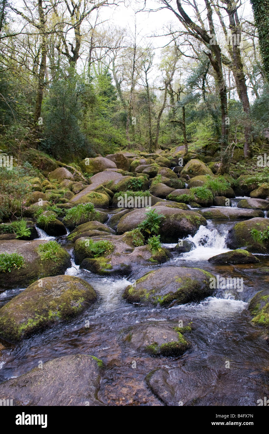 Becky Falls, Dartmoor National Park Stock Photo - Alamy