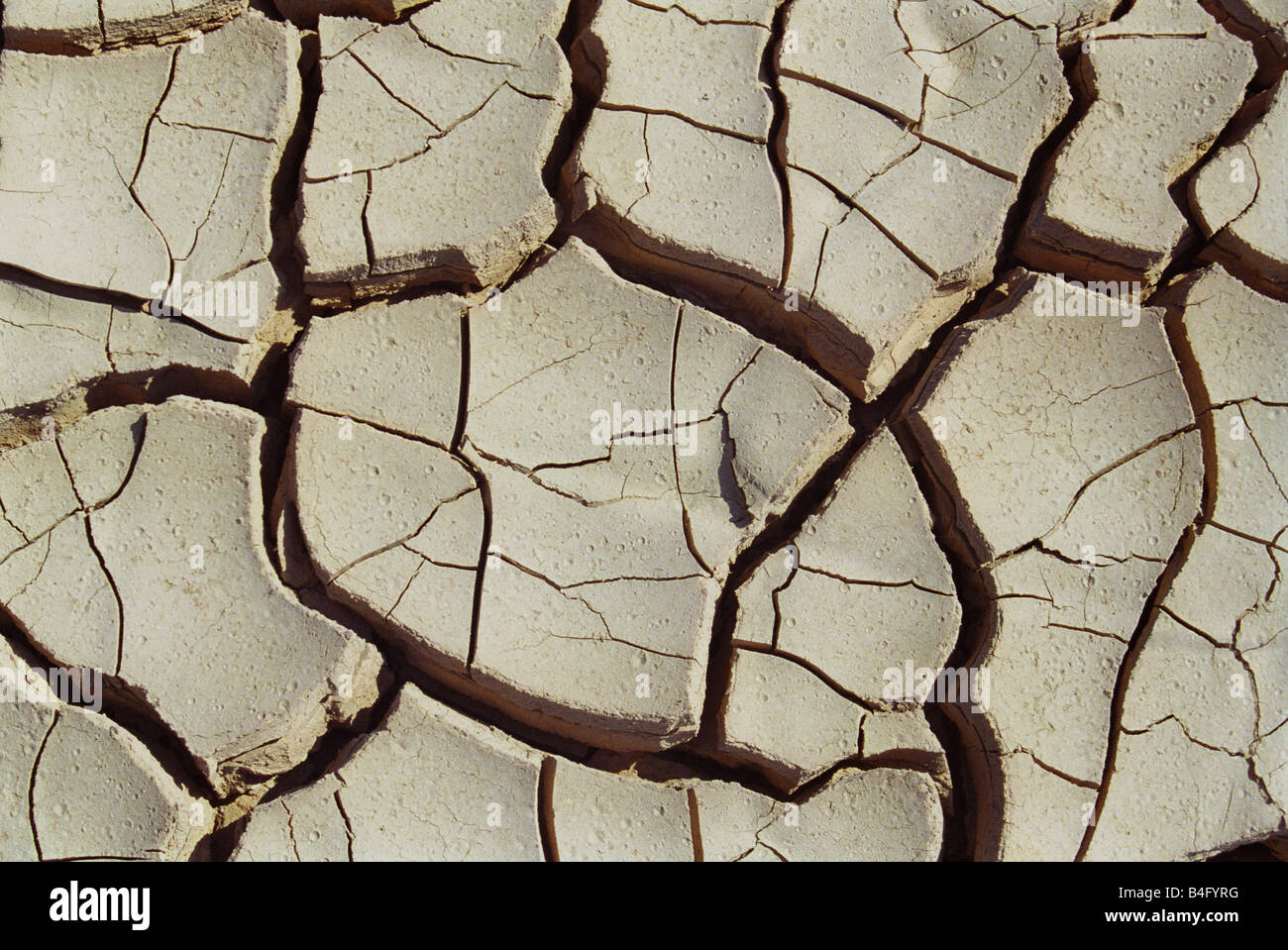 Cracked earth in the Dead Sea, Israel Stock Photo - Alamy