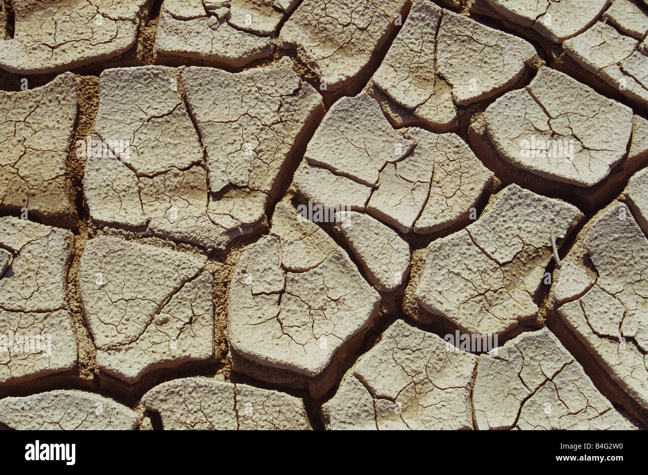Cracked earth in the Dead Sea, Israel Stock Photo - Alamy