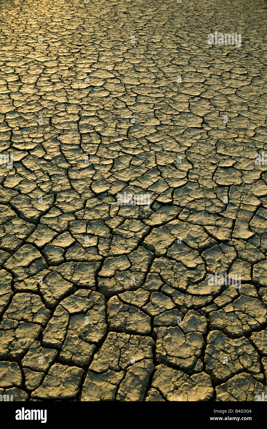 Dry Cracked Soil Stock Photo - Alamy