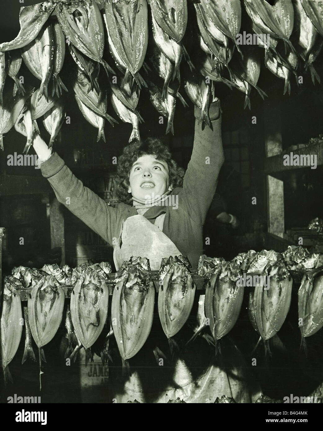 Tentering Herrings on the bualks for drying in smoke to become Kippers ...