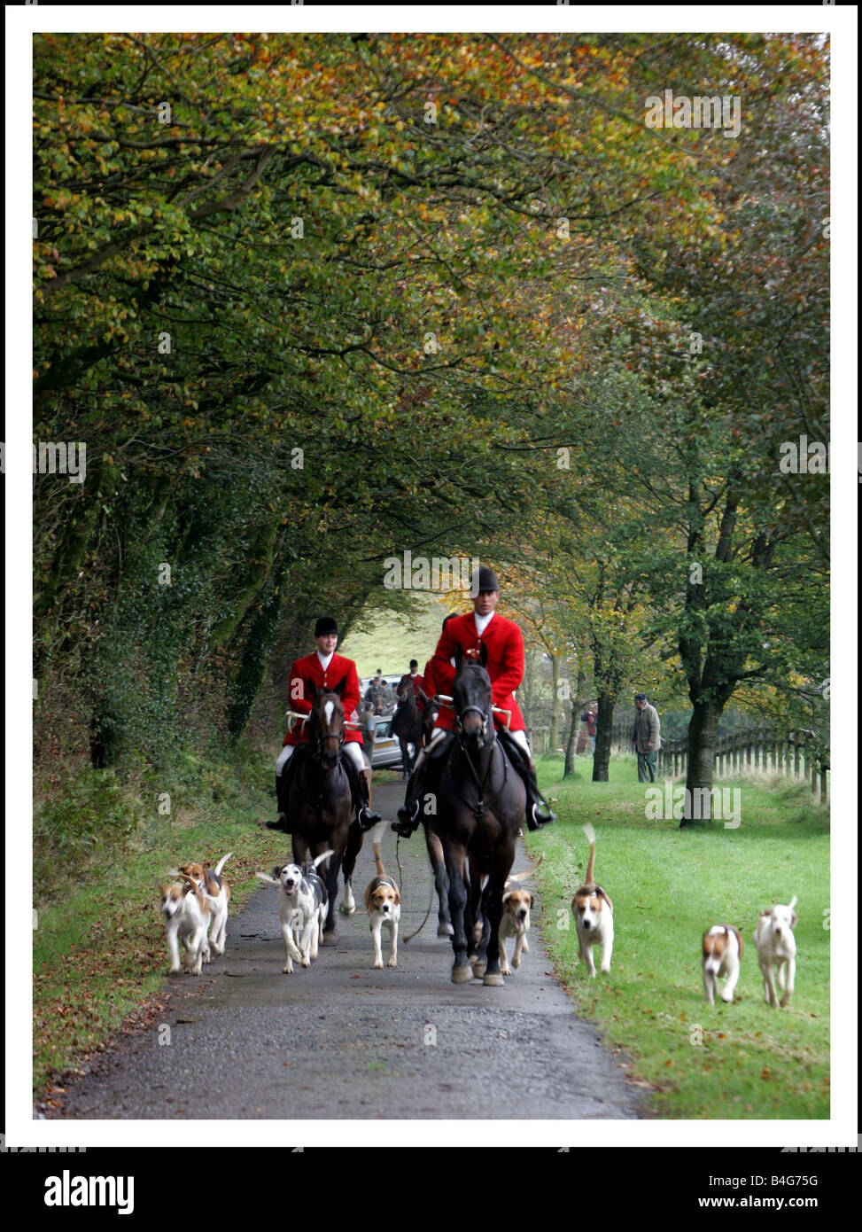 Stag hunting exmoor hi-res stock photography and images - Alamy