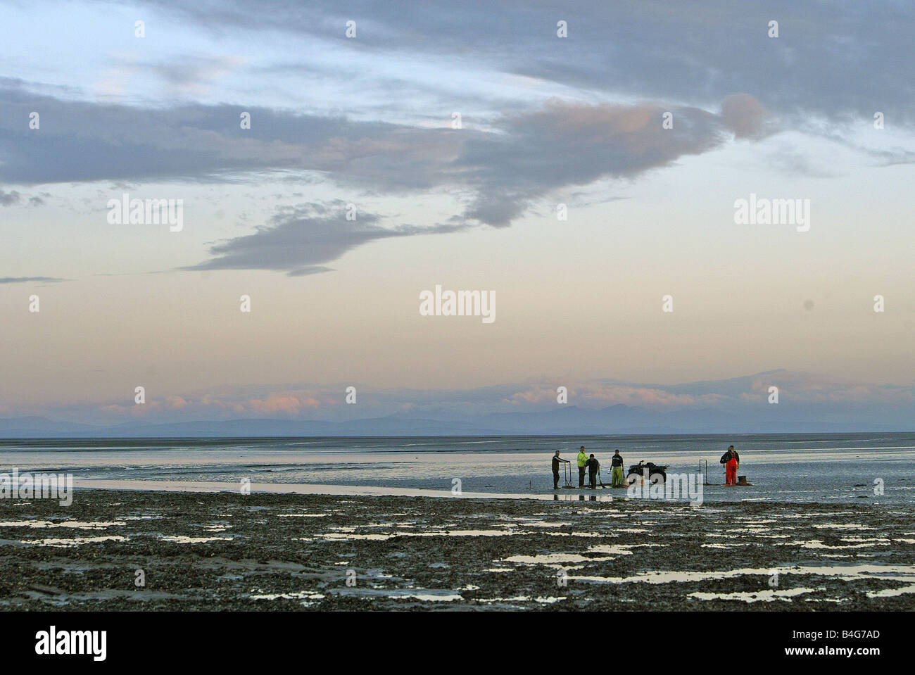 Cockle fishers return to the deadly Morecambe bay cockle beds Over 300 ...