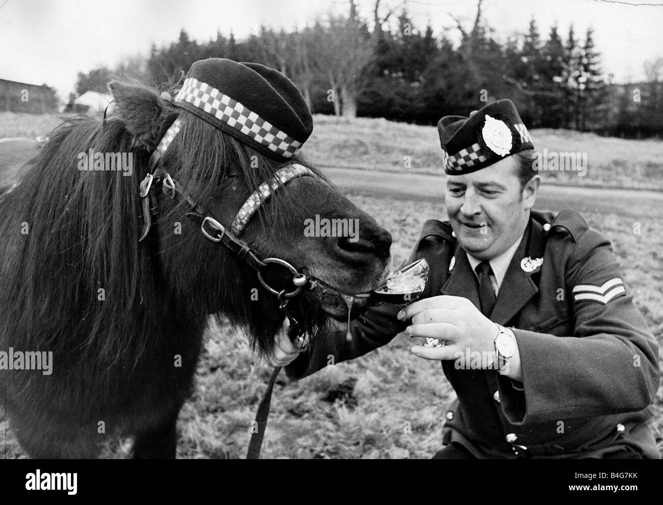 Corporal Tom Begley of the Argylls gives a drink of stout to the ...