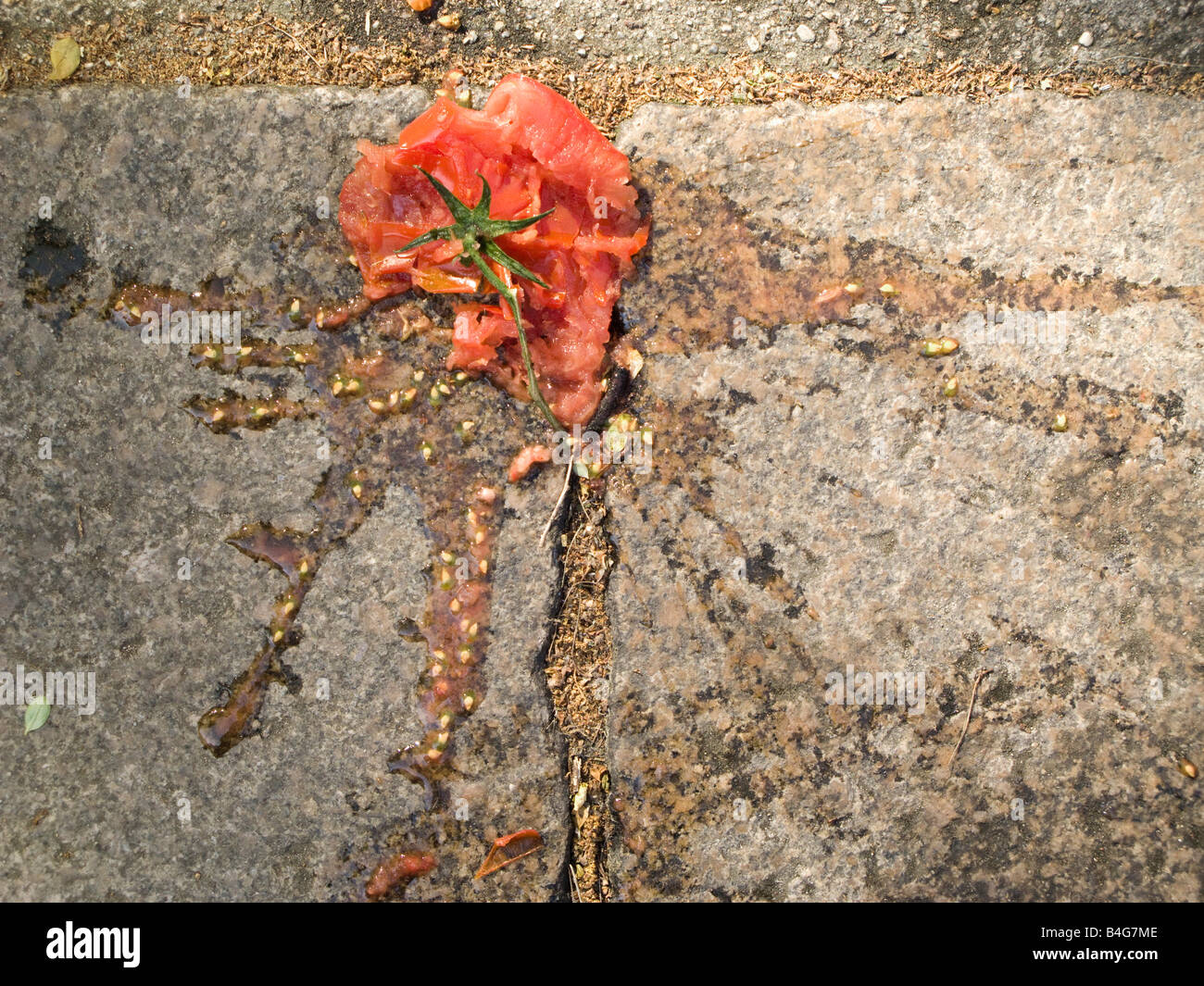 A tomato splattered on a sidewalk Stock Photo - Alamy
