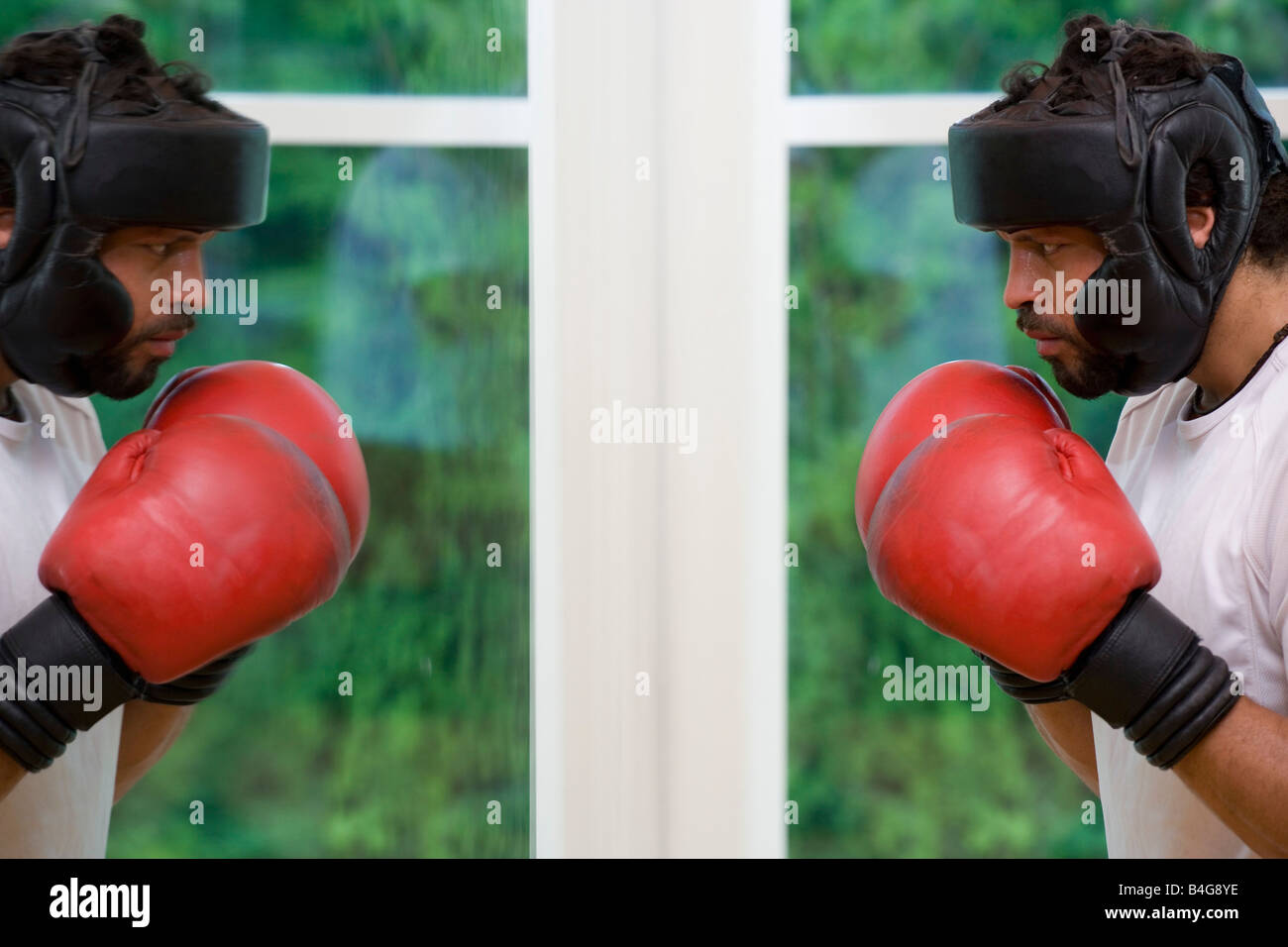 A boxer staring at his reflection Stock Photo - Alamy