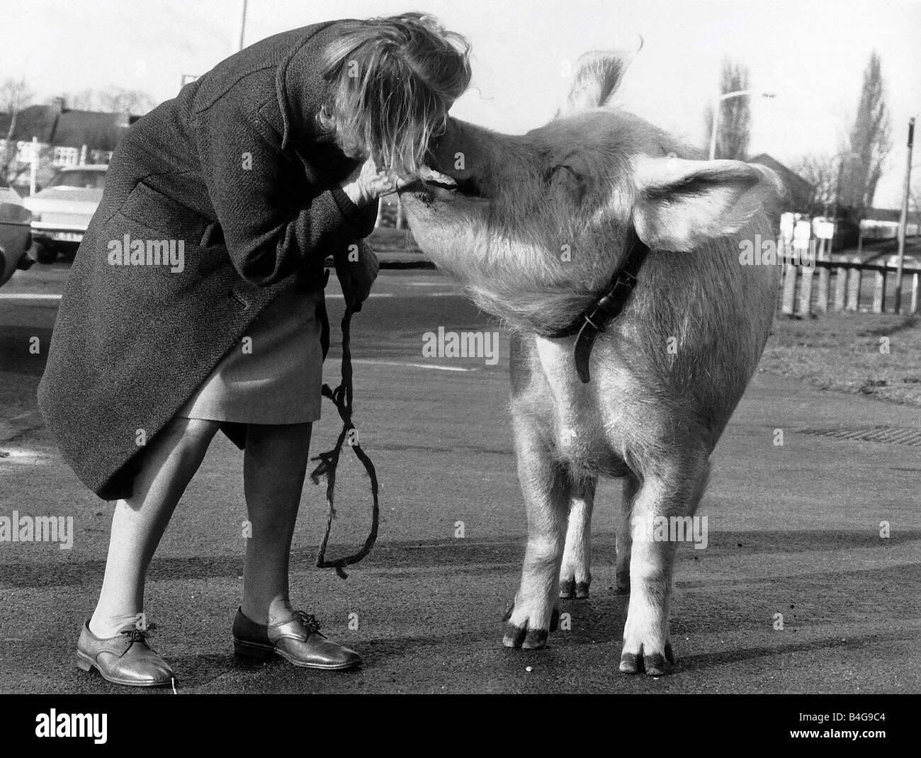 Chipperfield circus High Resolution Stock Photography and Images - Alamy