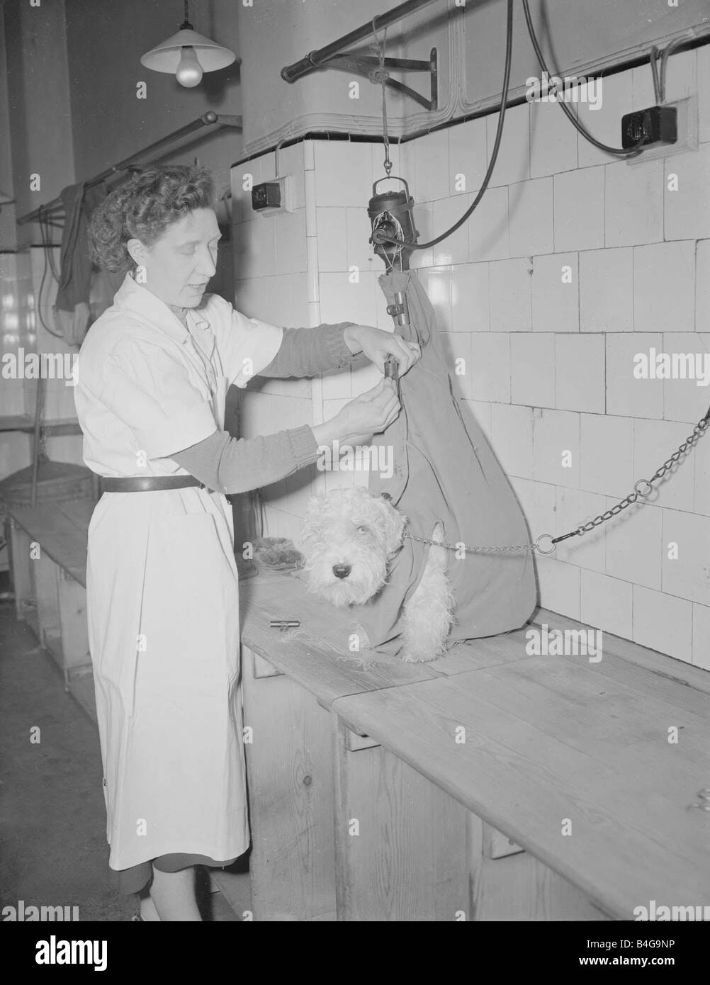 Princess margaret 1952 hi-res stock photography and images - Alamy