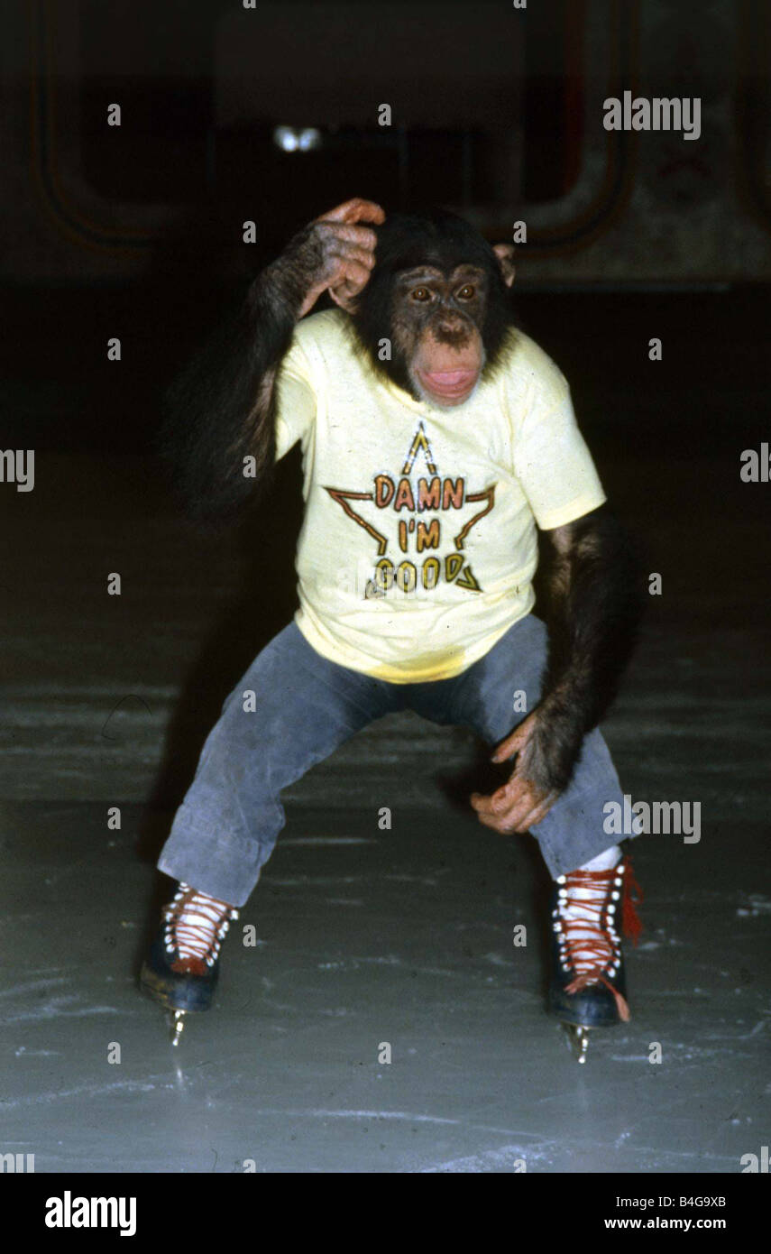 1980s ice skating hi-res stock photography and images - Alamy