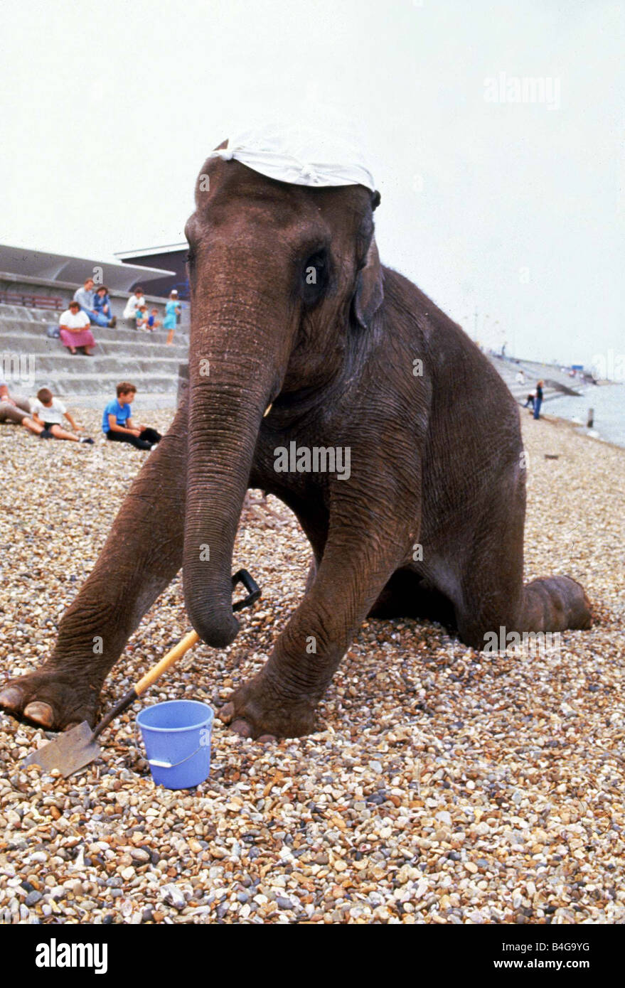 Rhani hi-res stock photography and images - Alamy