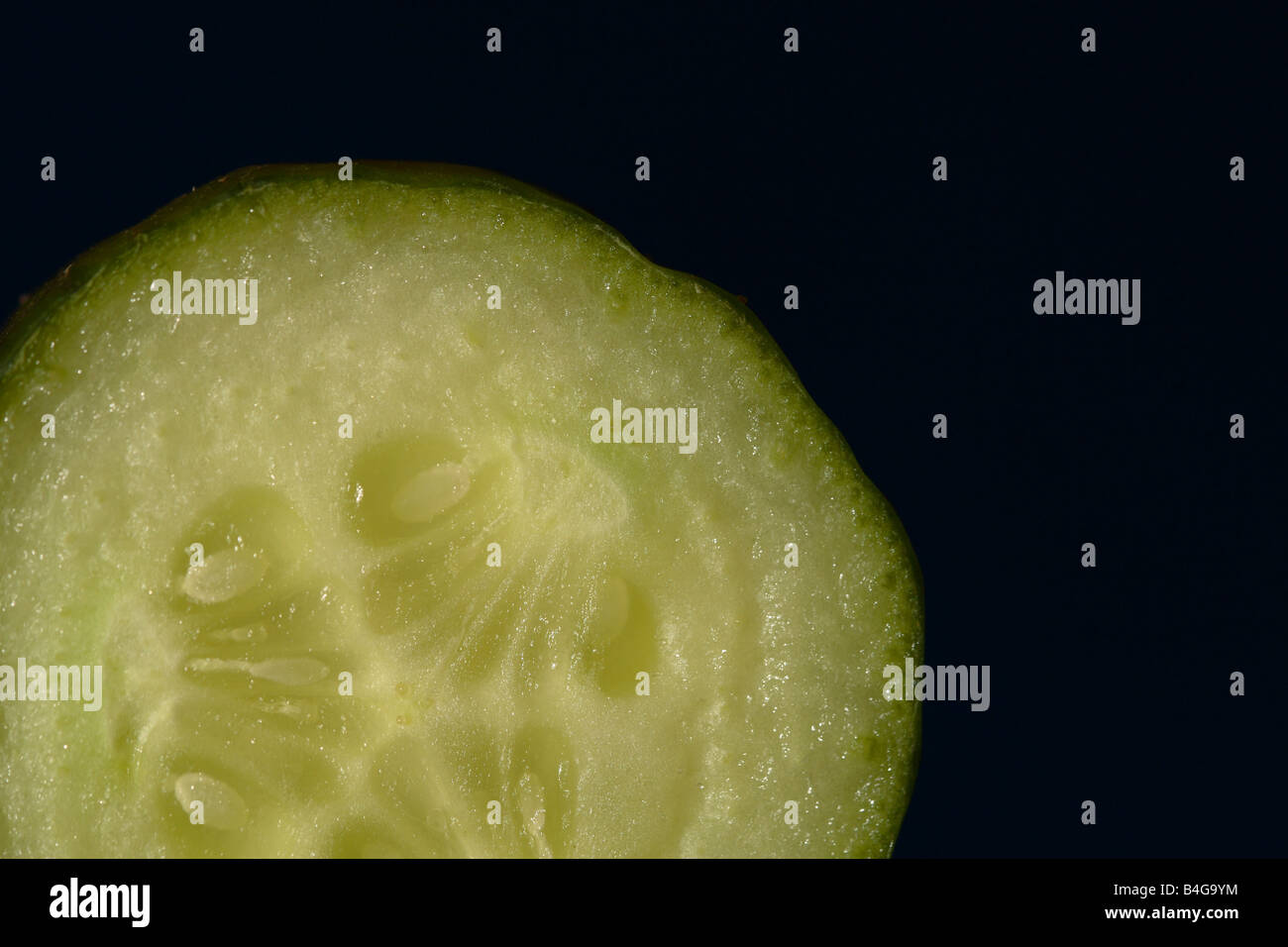 Cut cucumber cross section hi-res stock photography and images - Alamy