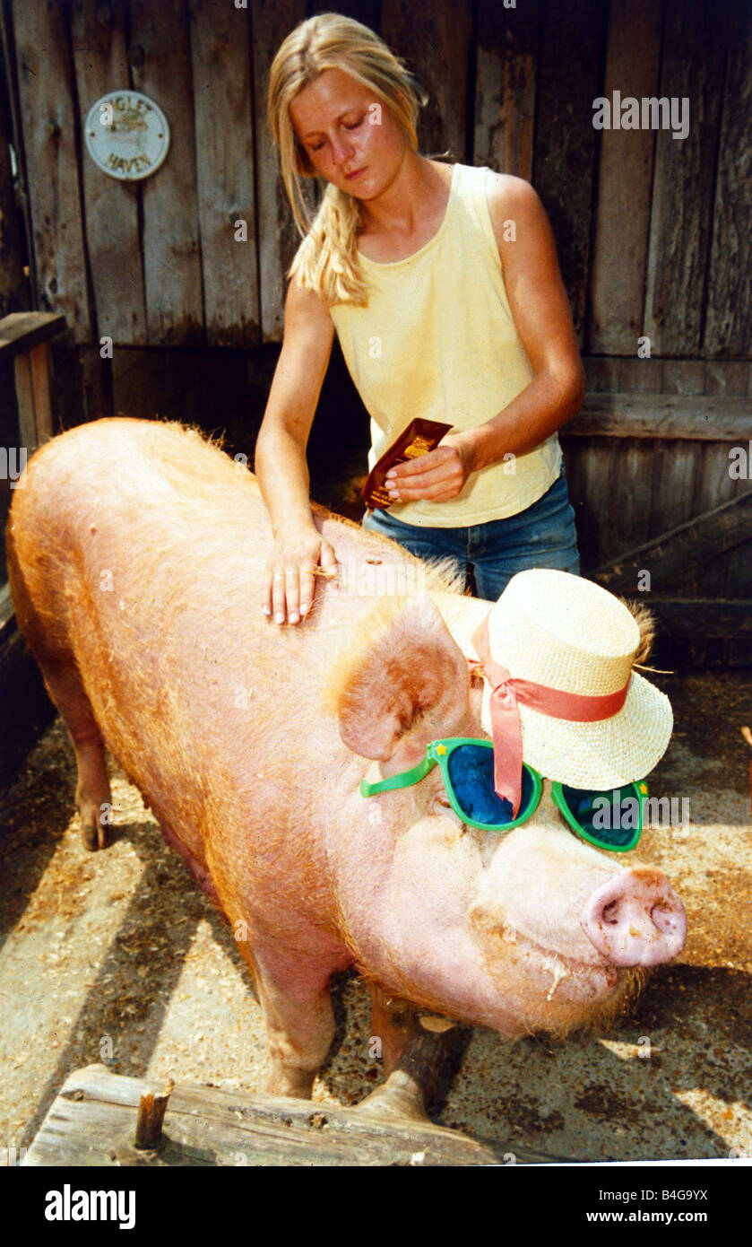 Betsy The Pig having Sun Tan lotion applied to her skin Sun Care ...