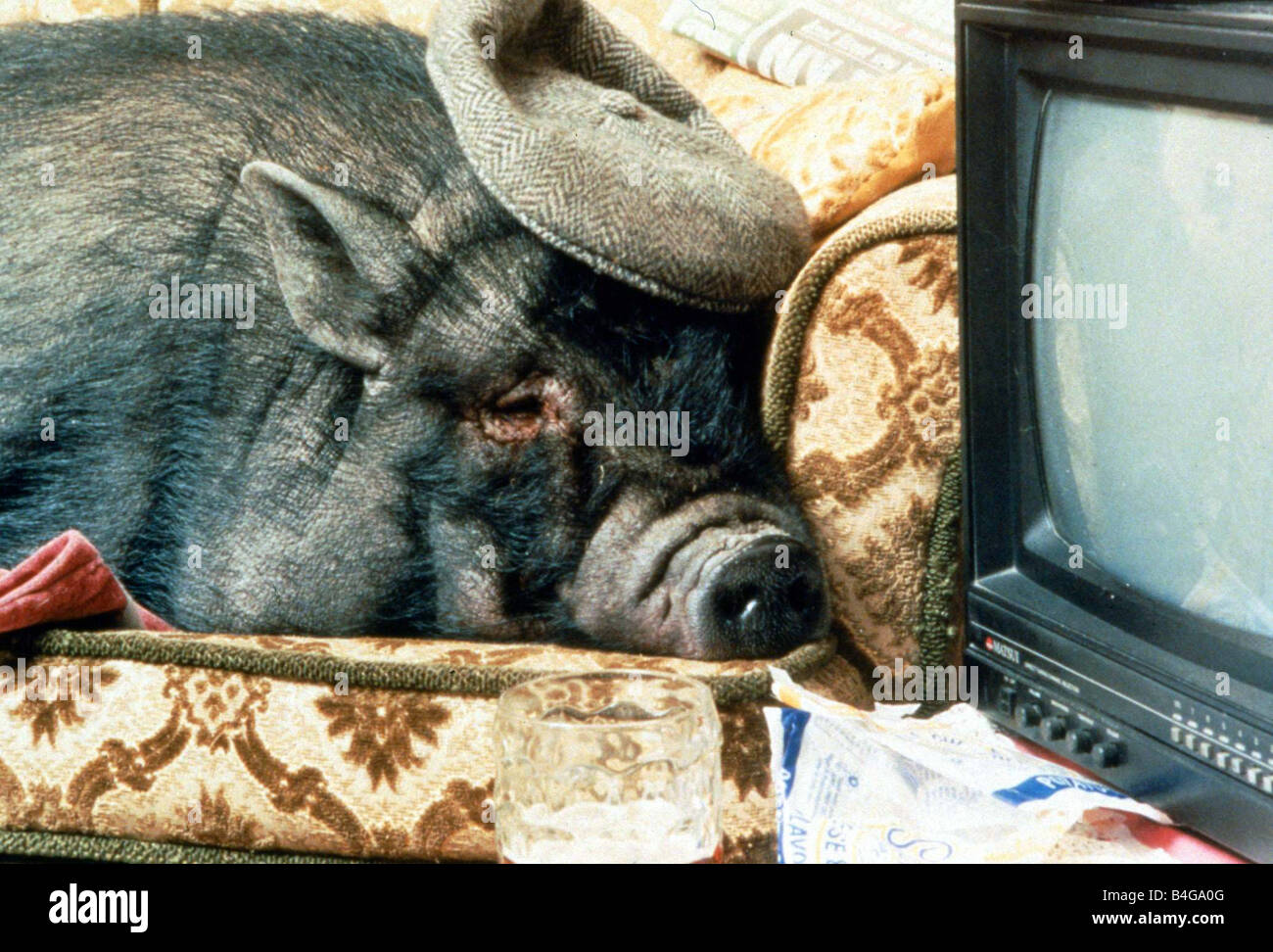 Georgie porgie hi-res stock photography and images - Alamy