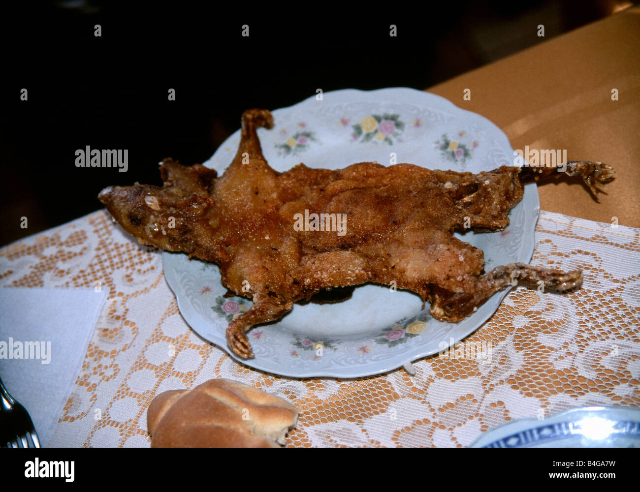 Exotic rodent hi-res stock photography and images - Alamy