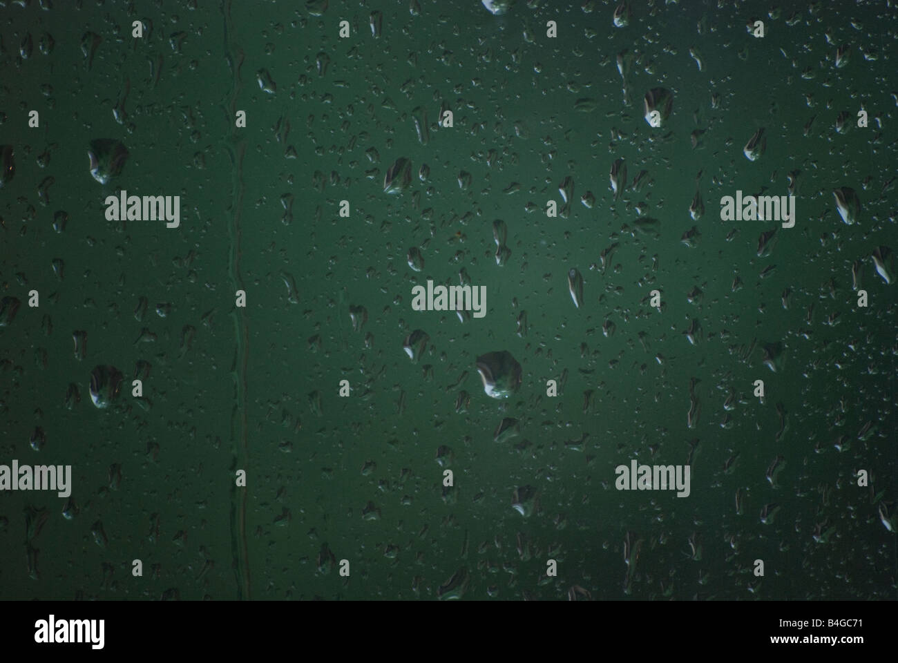 Forest window hi-res stock photography and images - Alamy