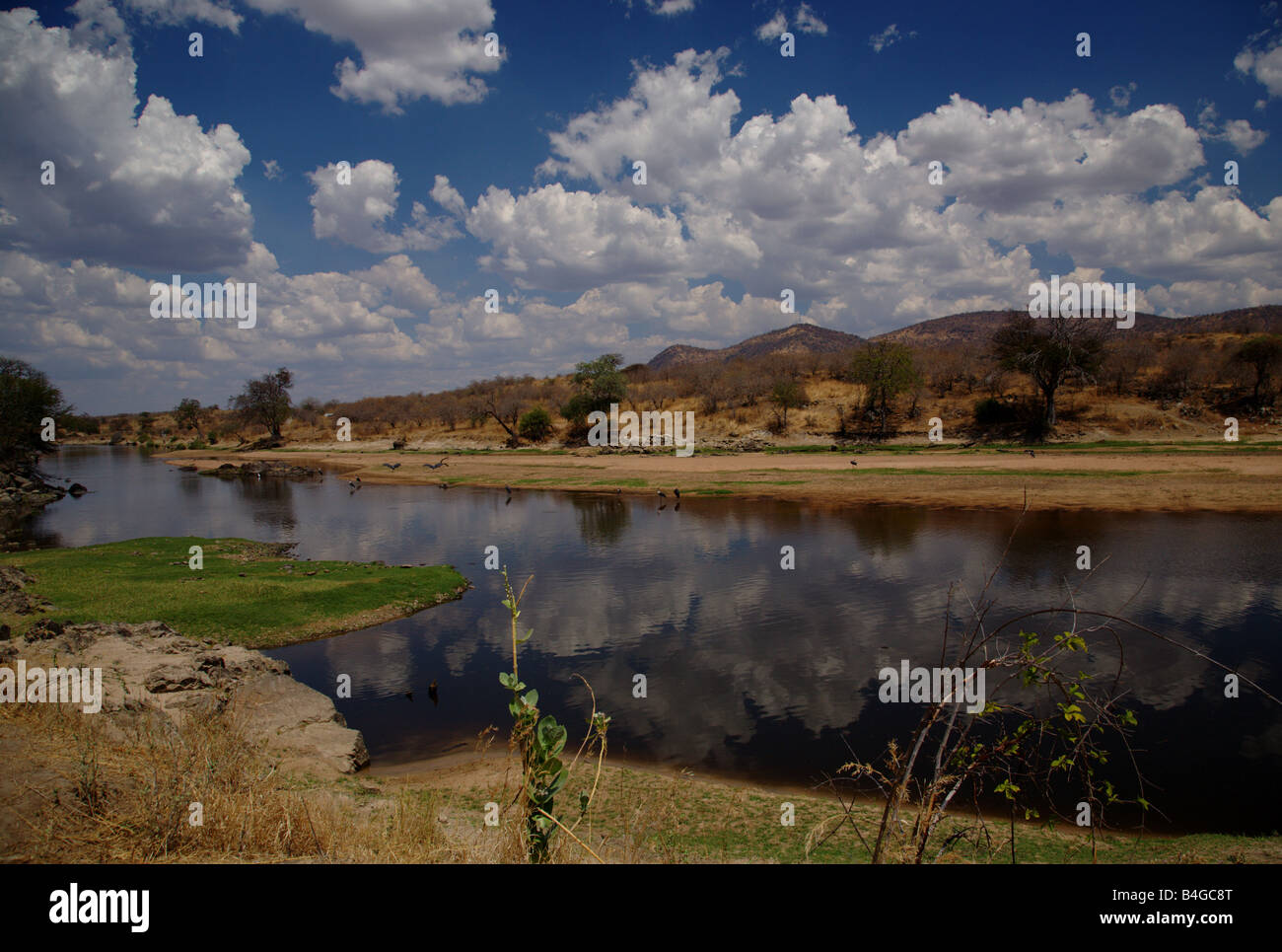 Ruaha national park hi-res stock photography and images - Alamy