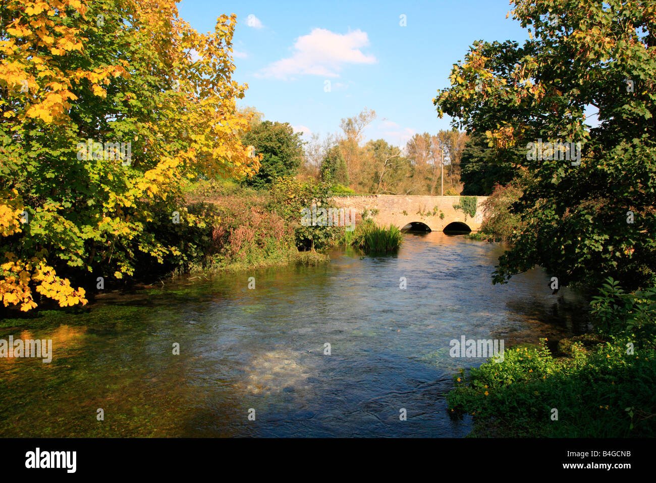 Evening Light on river Leach Eastleach Gloucestershire Cotswolds ...