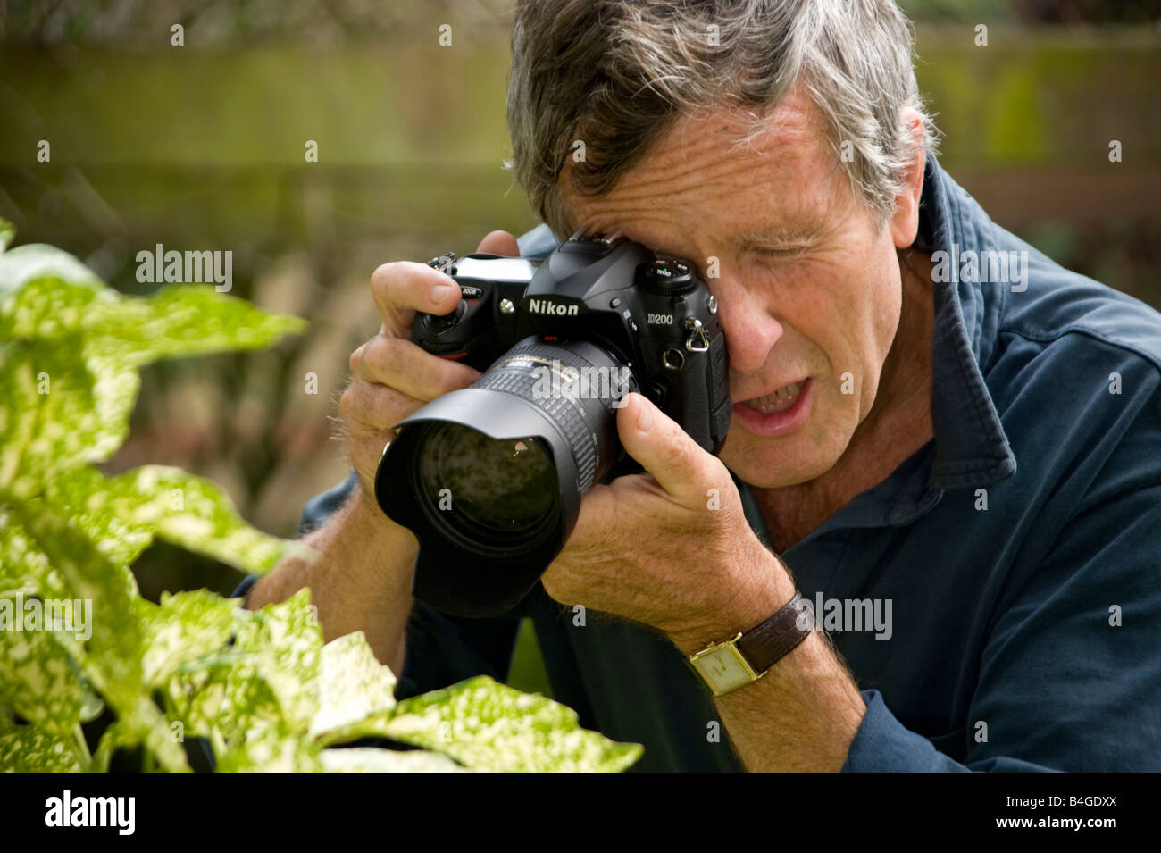 middle aged man with a camera photographing nature Stock Photo - Alamy