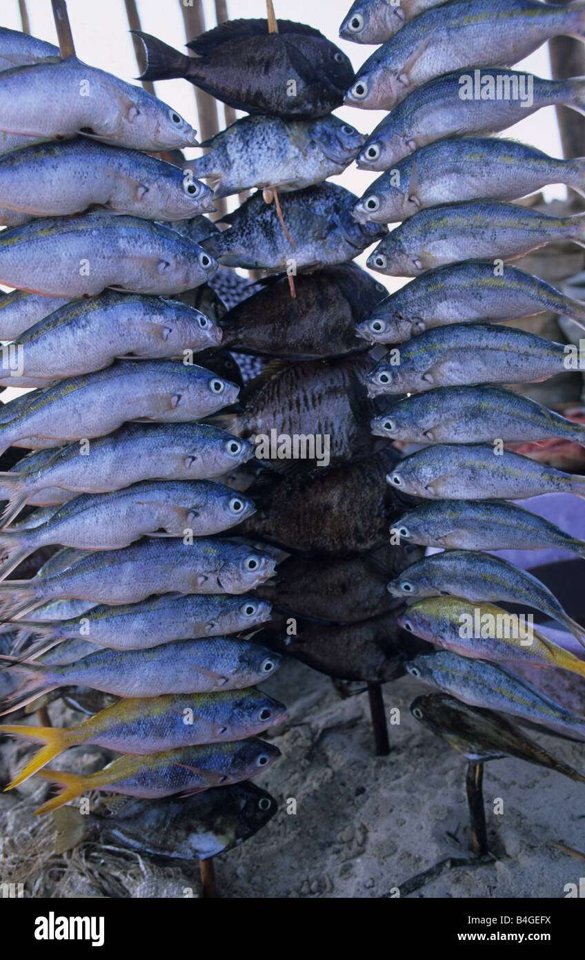 Smoking fish hi-res stock photography and images - Alamy