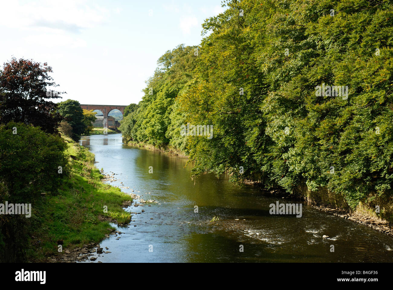 River Calder at Whalley Stock Photo - Alamy