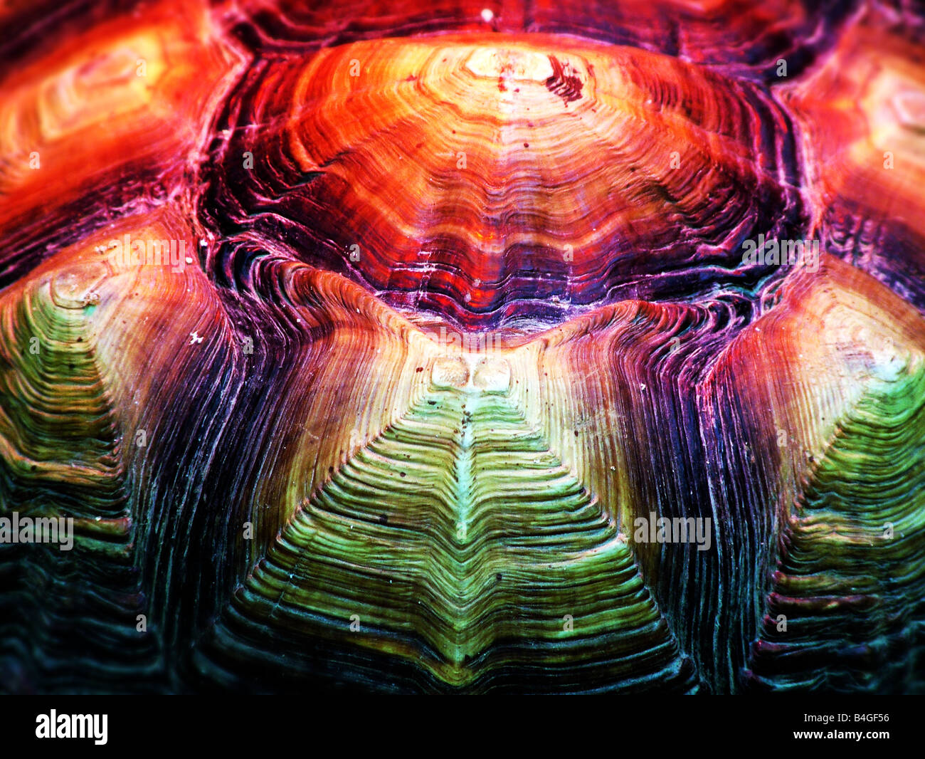 Texture Primitivism High Resolution Stock Photography and Images - Alamy