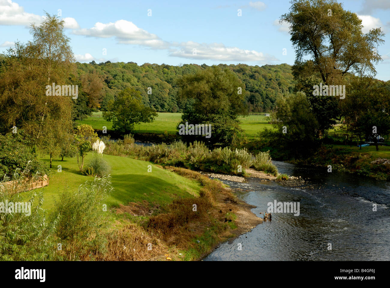 River Calder at Whalley Stock Photo - Alamy
