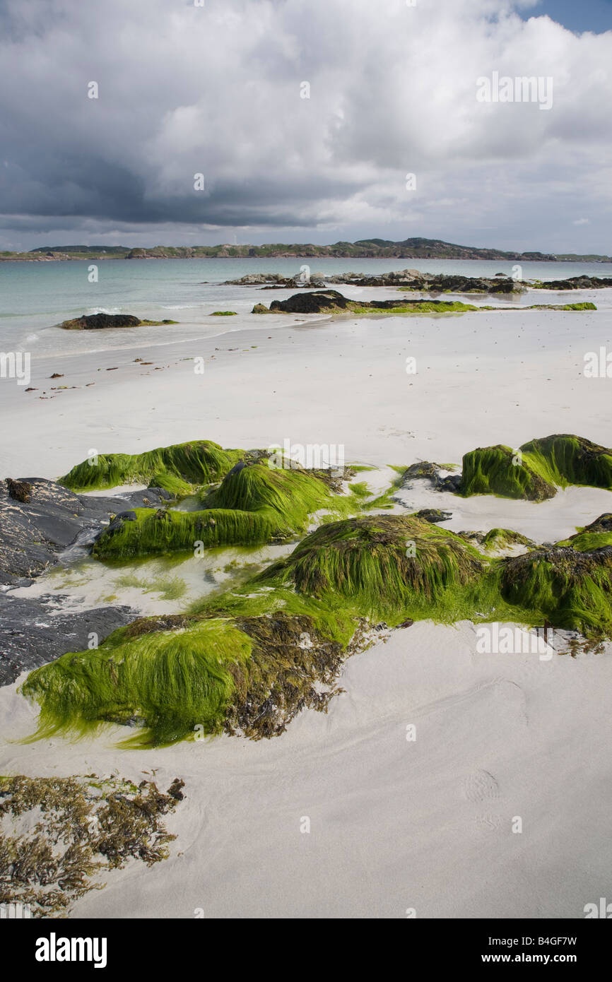 Beach Iona Scotland Stock Photo - Alamy