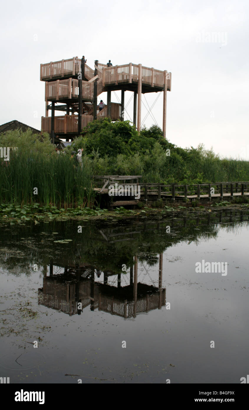 Point Pelee Marsh Boardwalk Tower Stock Photo - Alamy