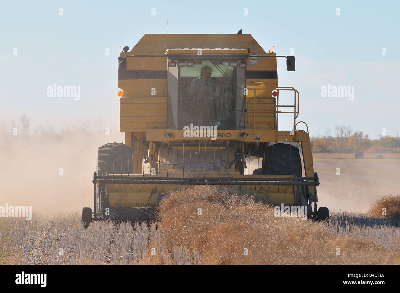 Canada wheat grain hi-res stock photography and images - Alamy