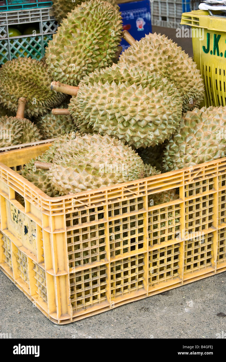 China durian hi-res stock photography and images - Alamy