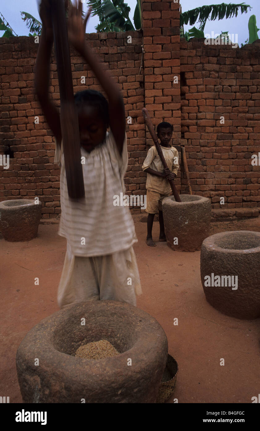Trashing rice hi-res stock photography and images - Alamy