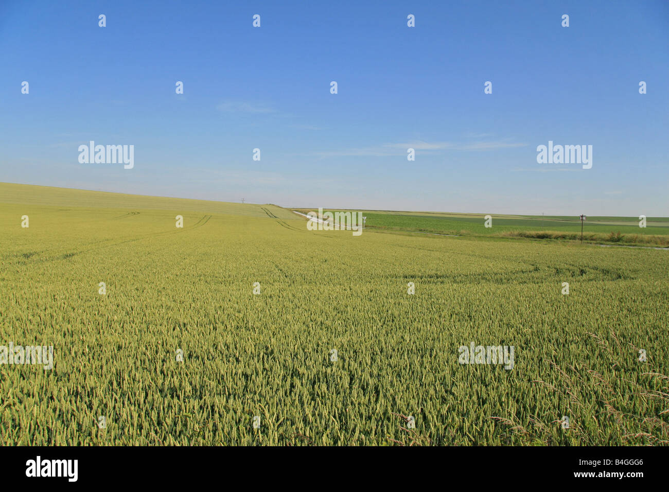 View along the position of the British front line on 1st July 1916 at ...