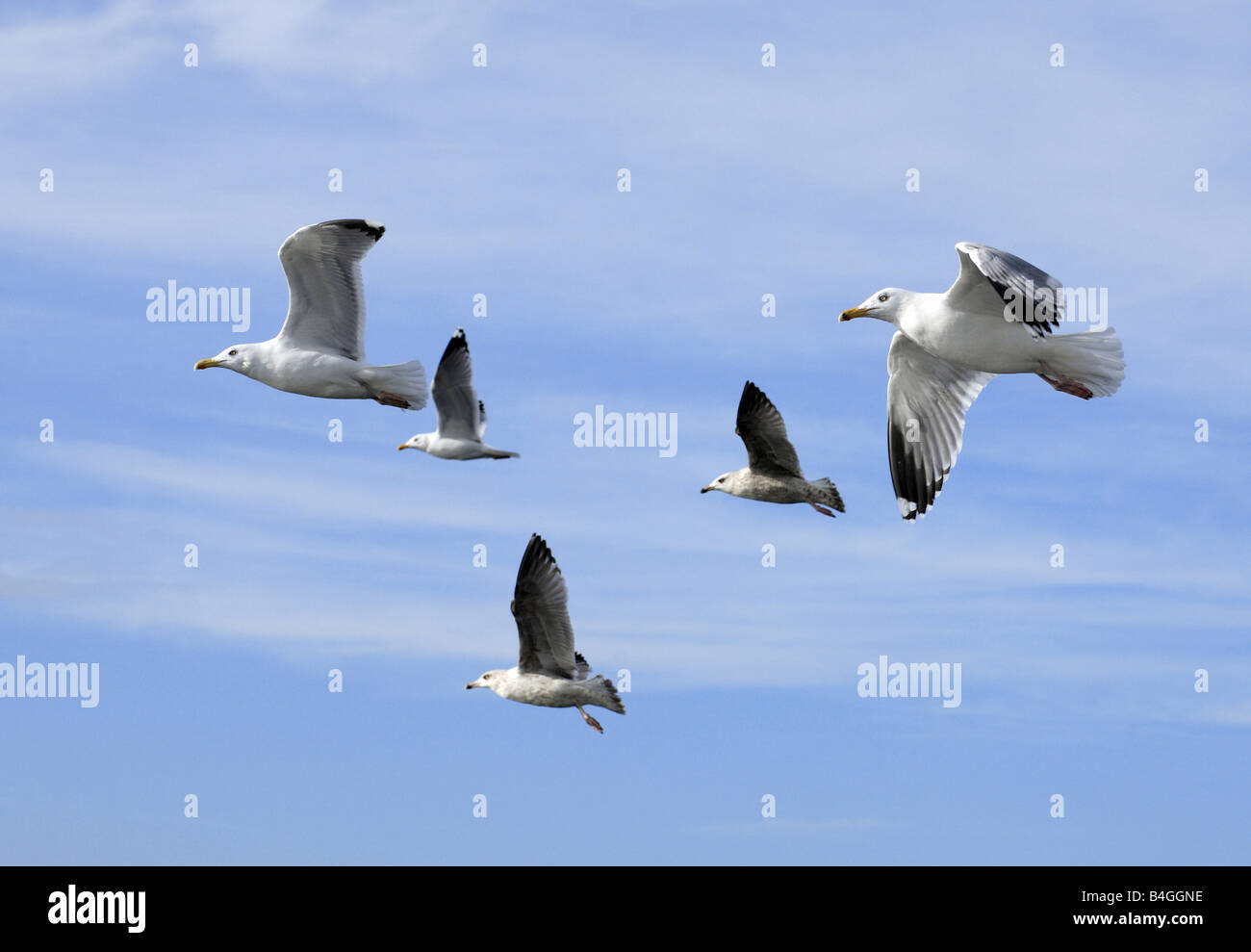 Flying triangle hi-res stock photography and images - Alamy