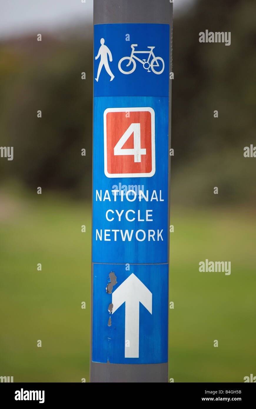 blue and white british national cycle network sign located in ham ...