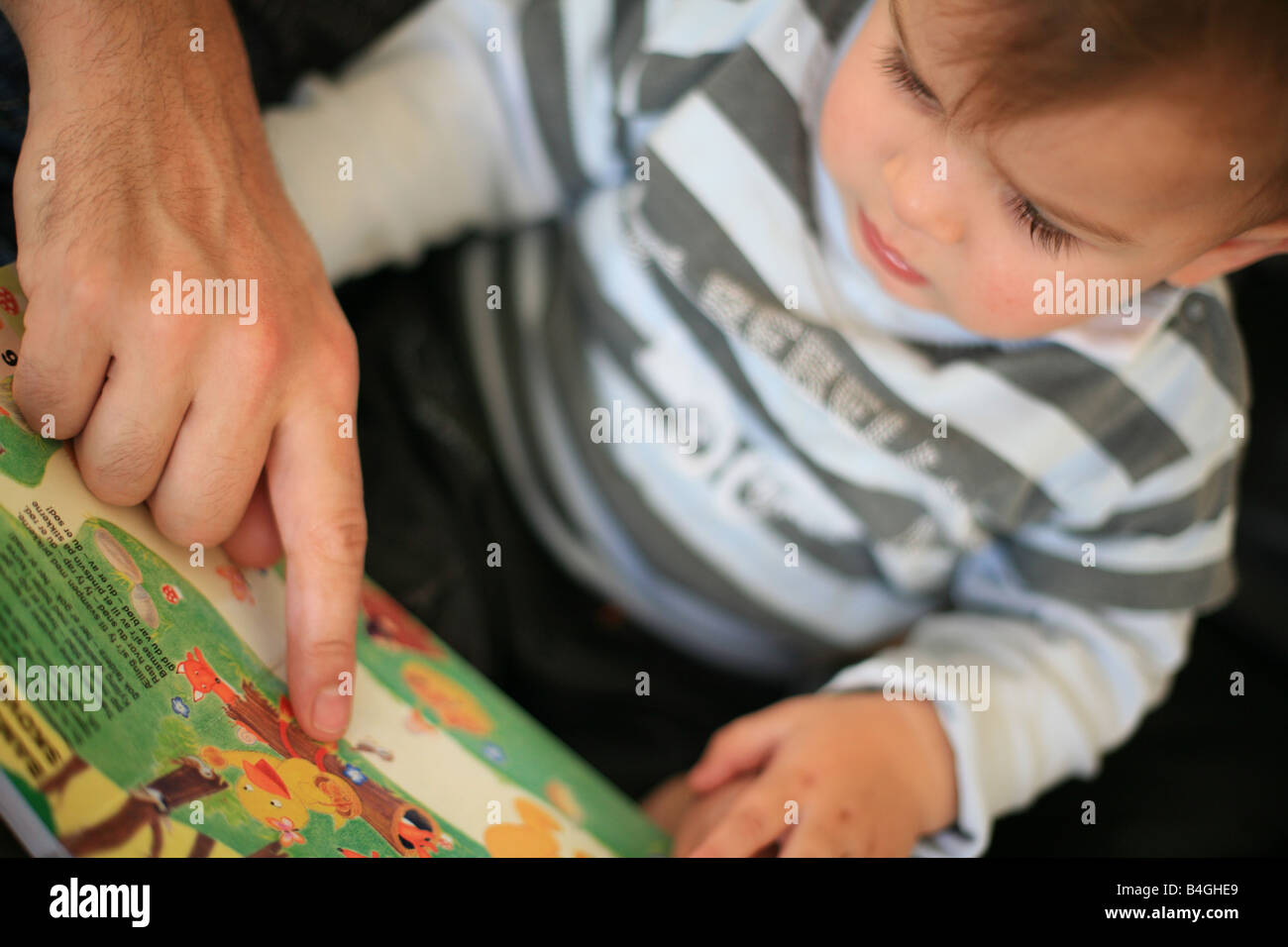 Child (2/3 years) reading a book in denmark. Father hand pointing on a ...