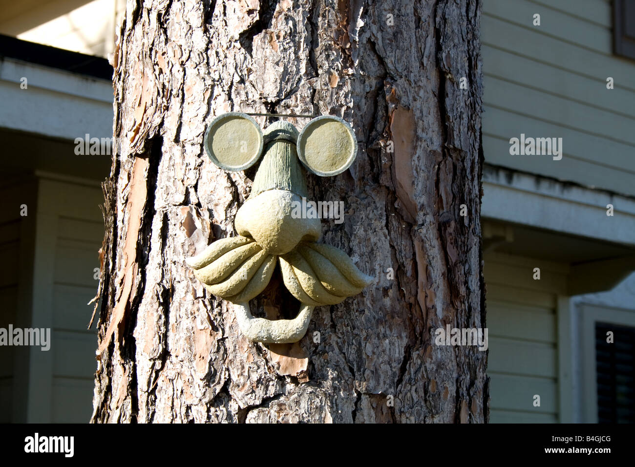 Front view of a face with a moustache on the trunk of a tree Stock ...