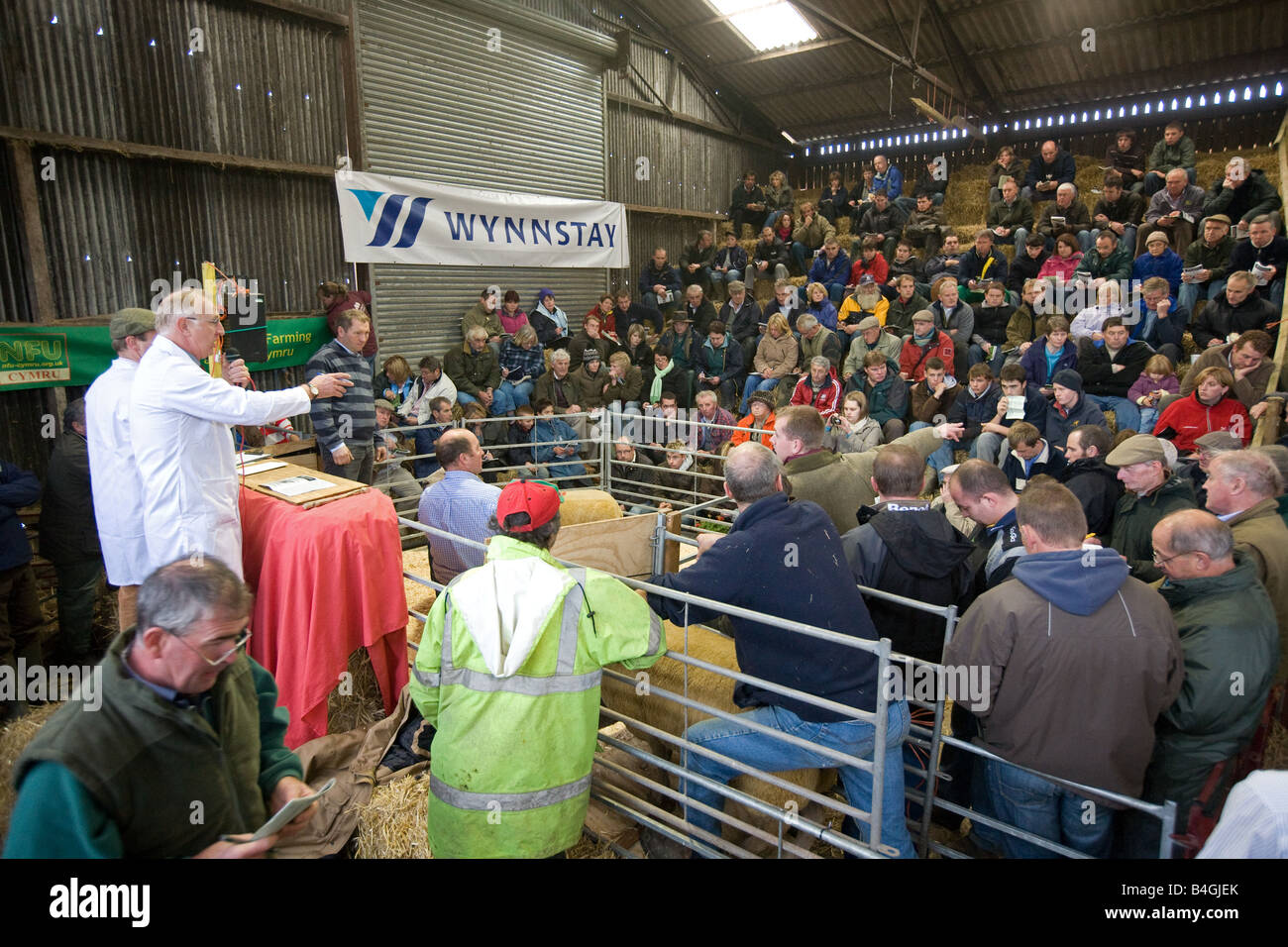 Auction ring hi-res stock photography and images - Alamy