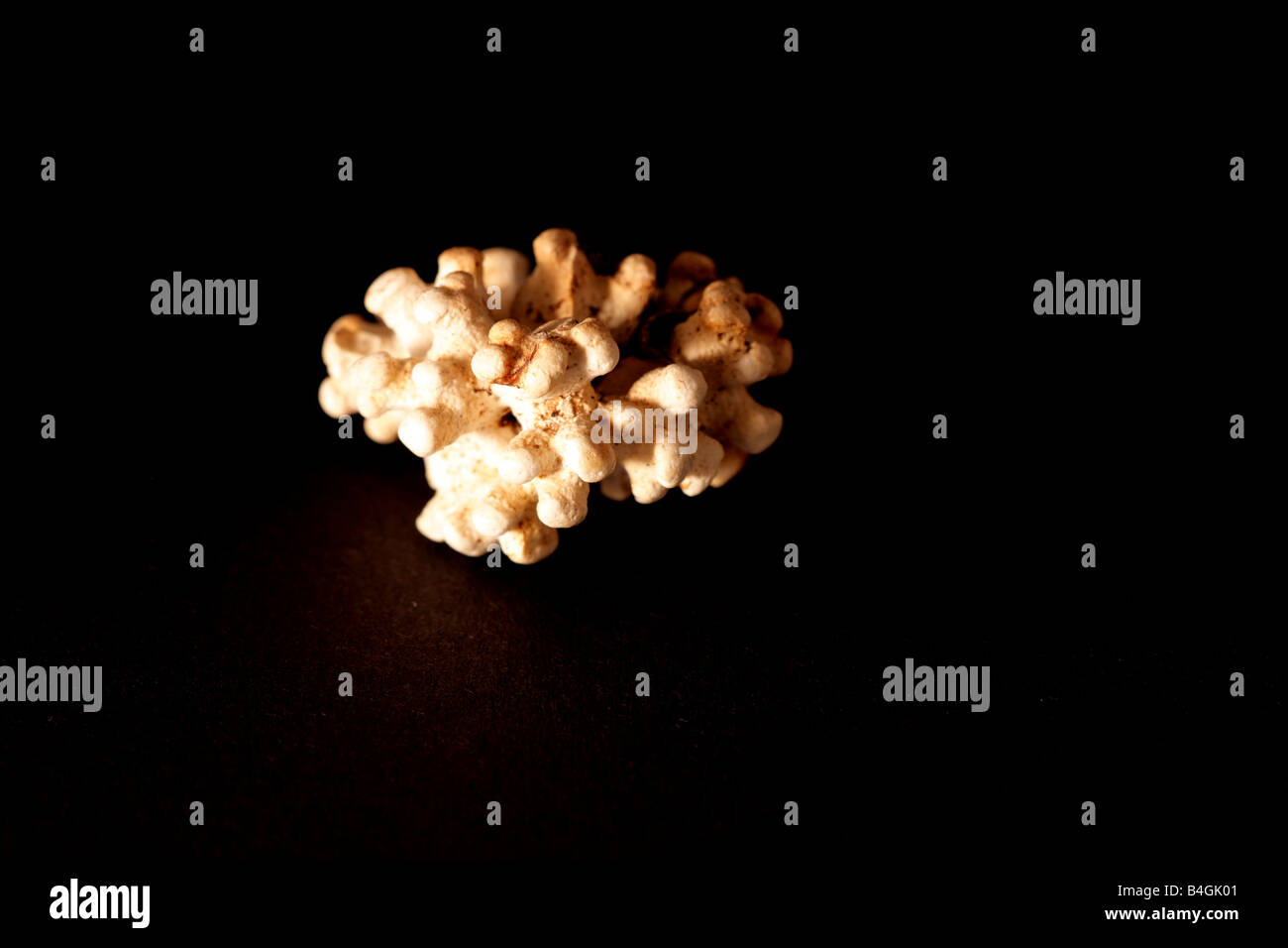 Disembodied brain hi-res stock photography and images - Alamy