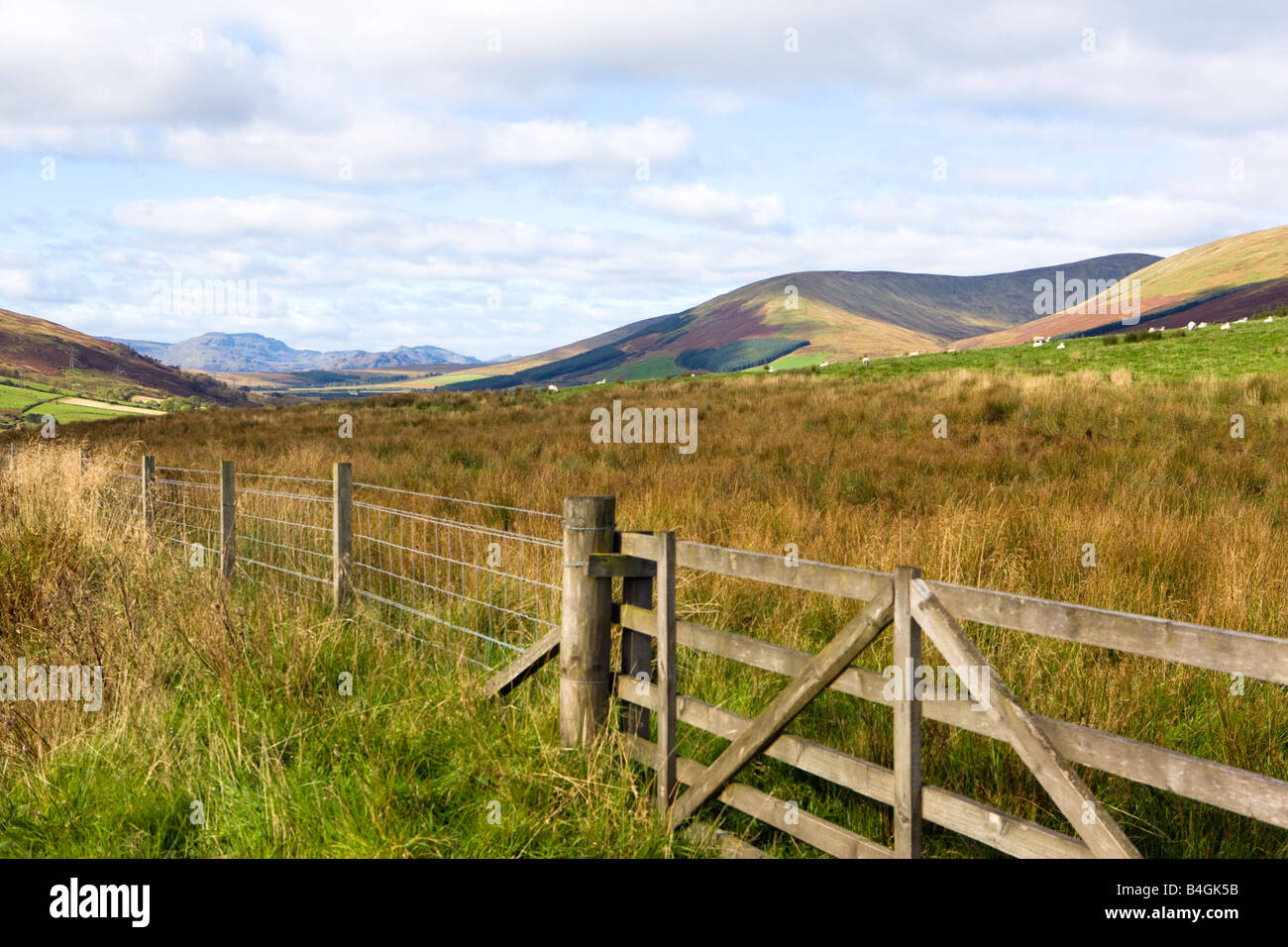 Fruin farm hi-res stock photography and images - Alamy