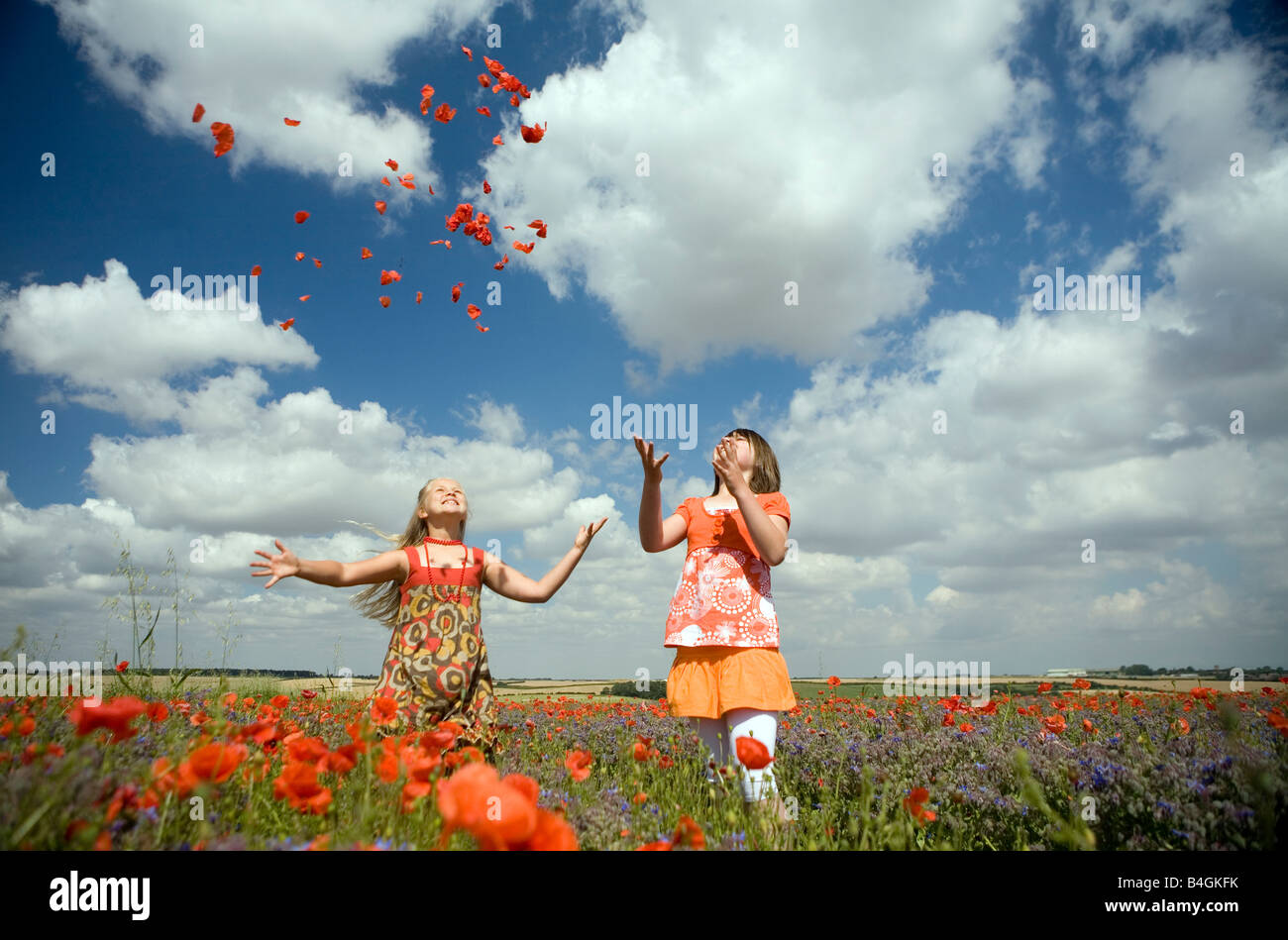 Children playing in poppy field Stock Photo - Alamy