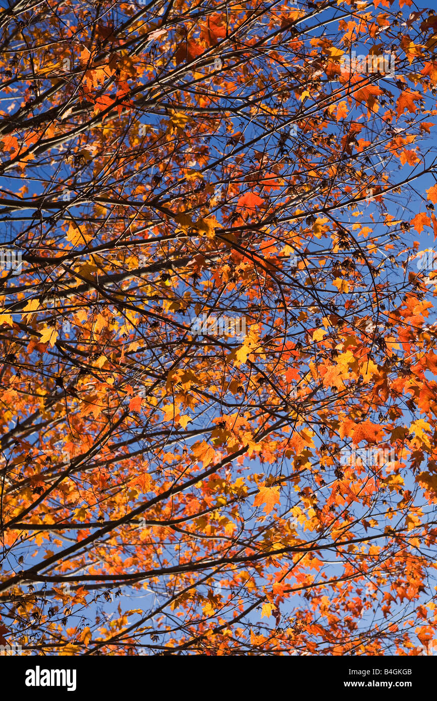 Newport rhode island autumn hi-res stock photography and images - Alamy