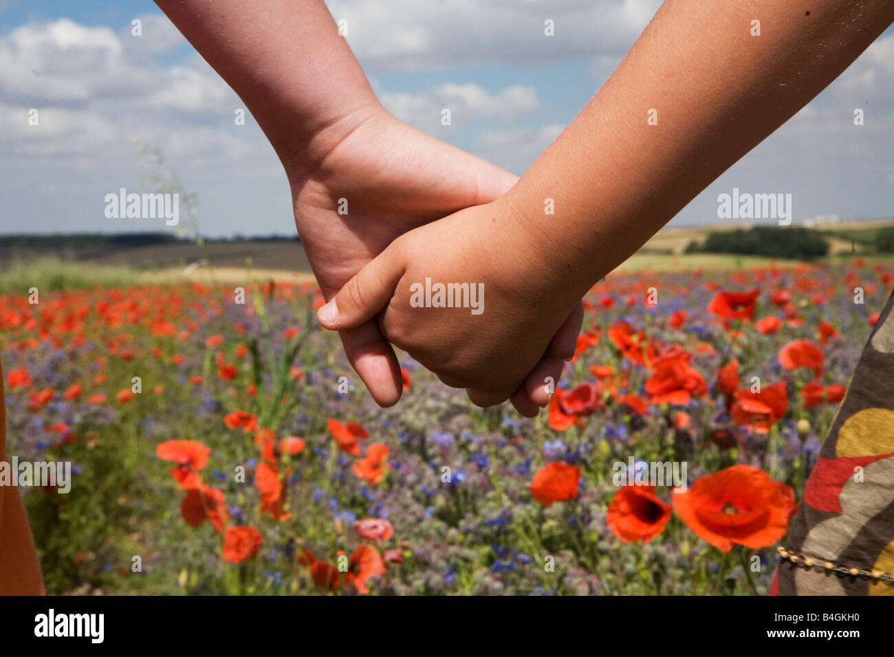 Children playing in poppy field Stock Photo - Alamy