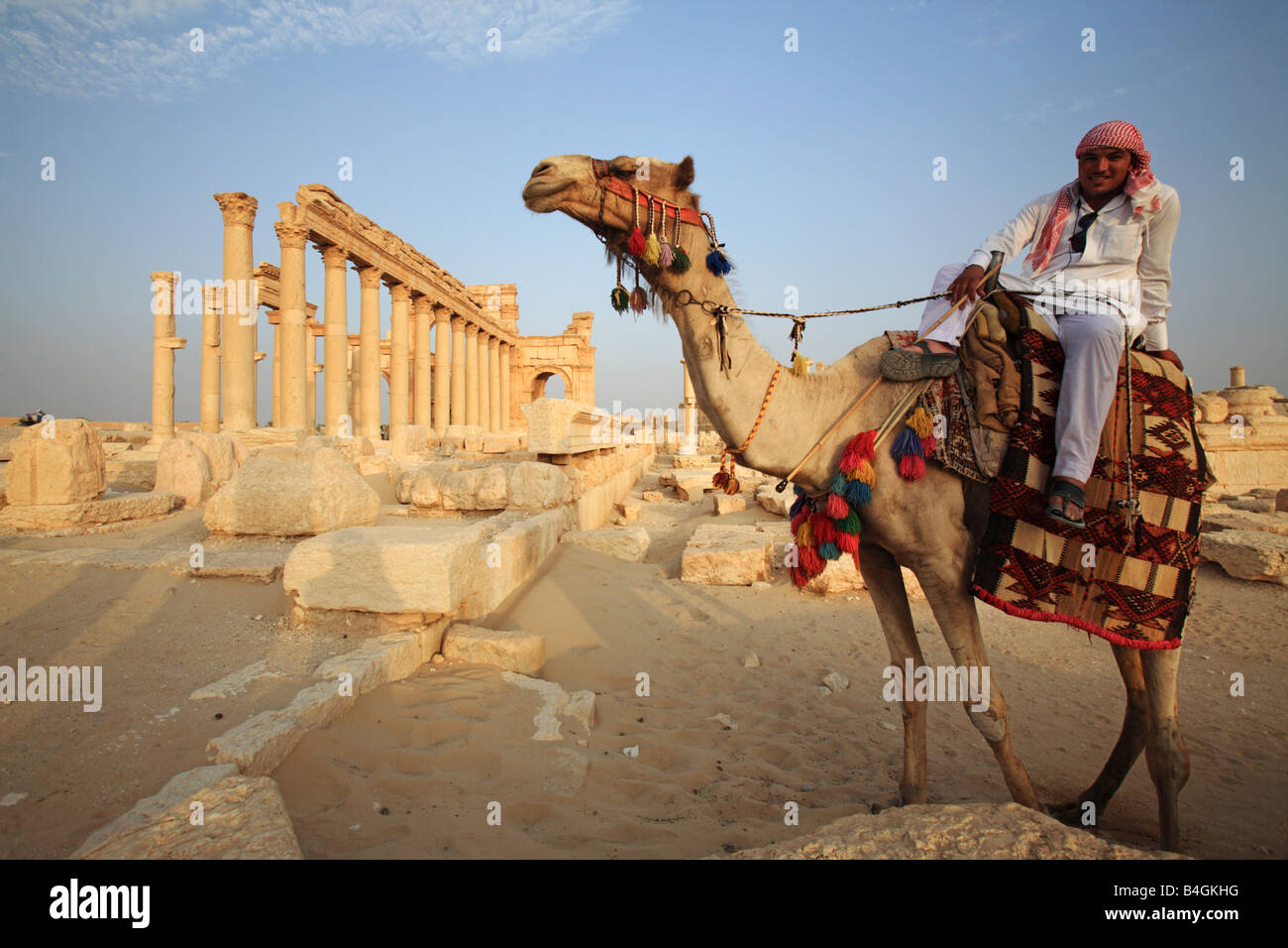 Camel at the ruins of Palmyra, Syria Stock Photo - Alamy