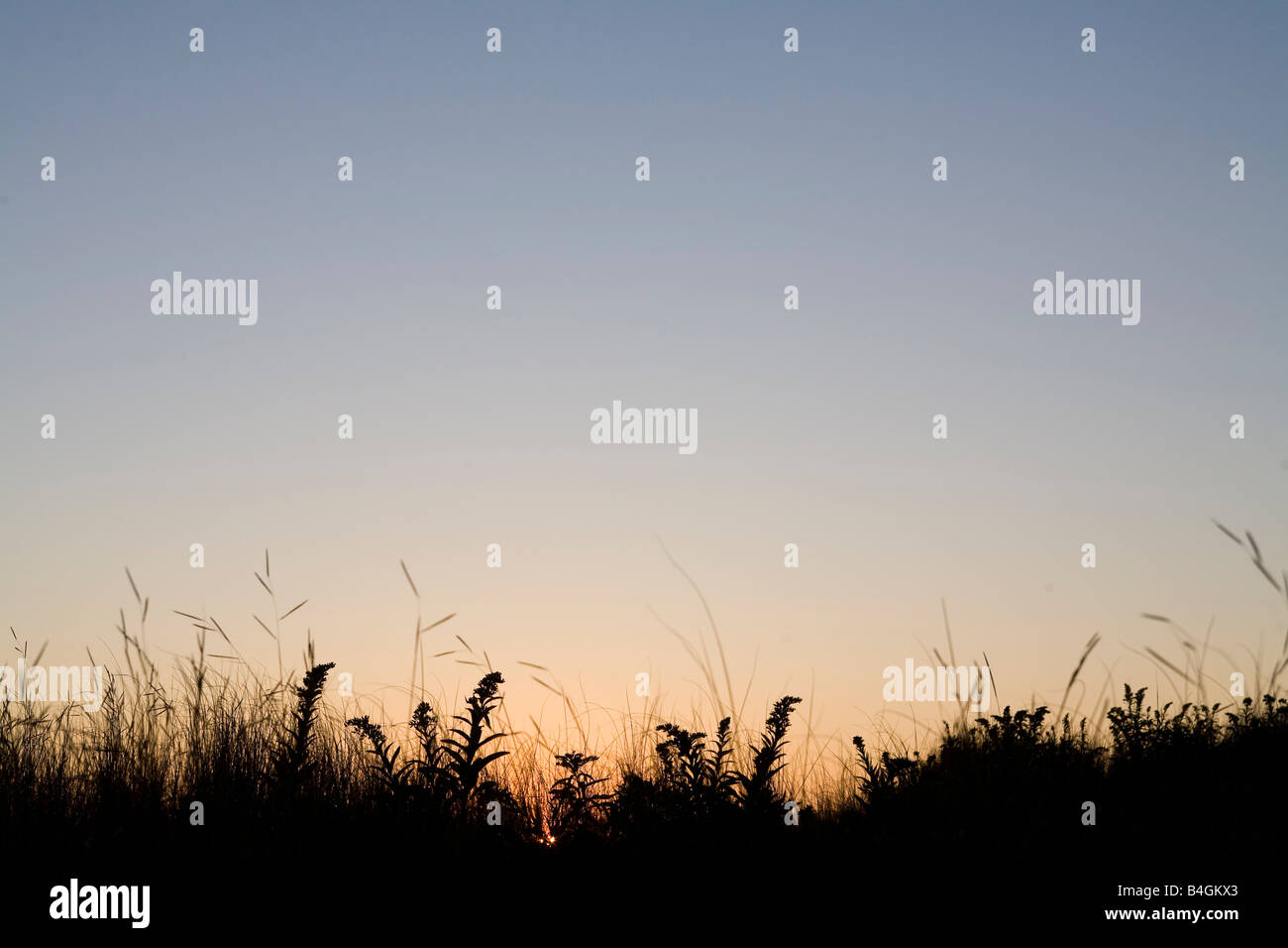 Sachuest Point High Resolution Stock Photography and Images - Alamy