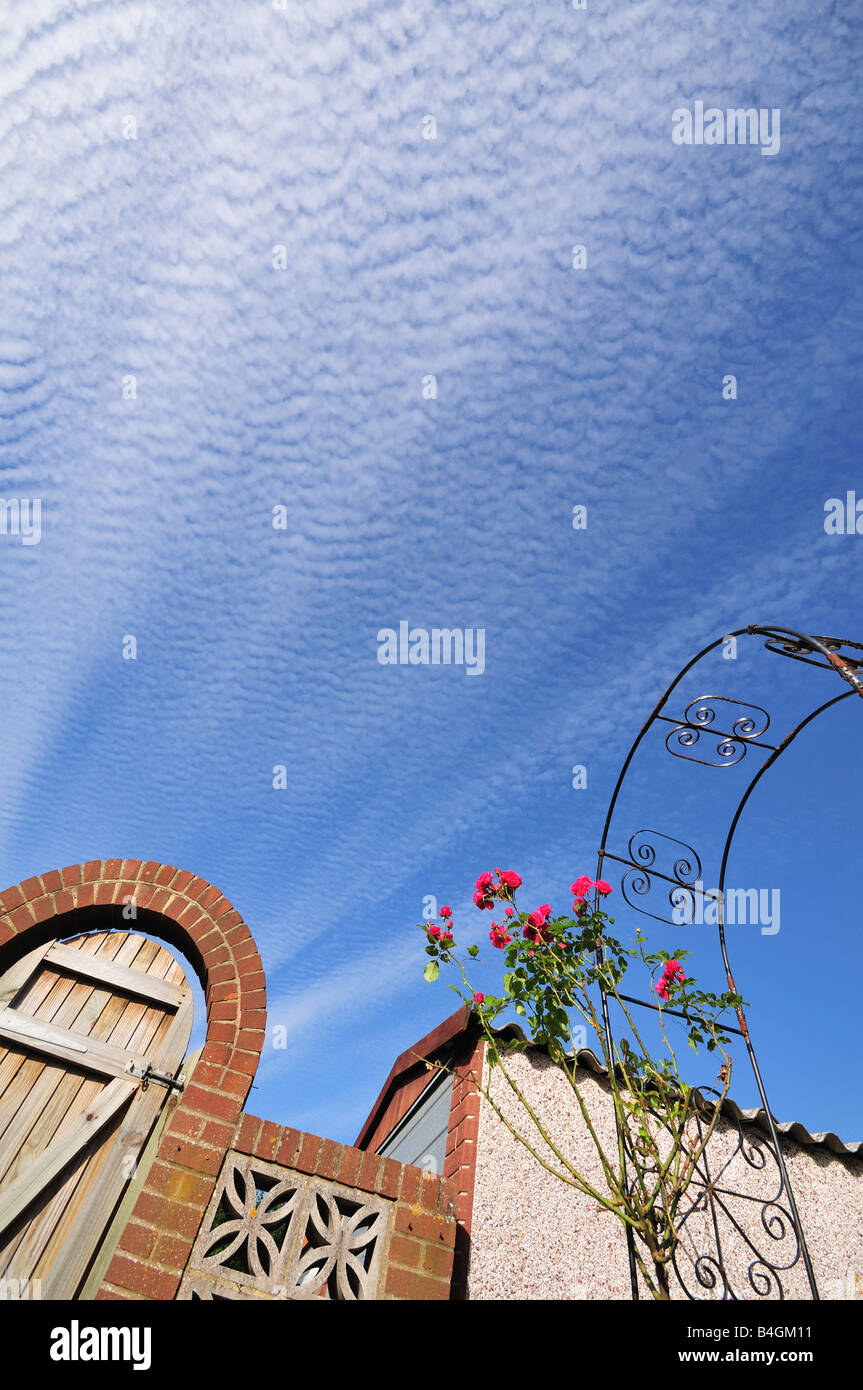 Backdoor view hi-res stock photography and images - Alamy