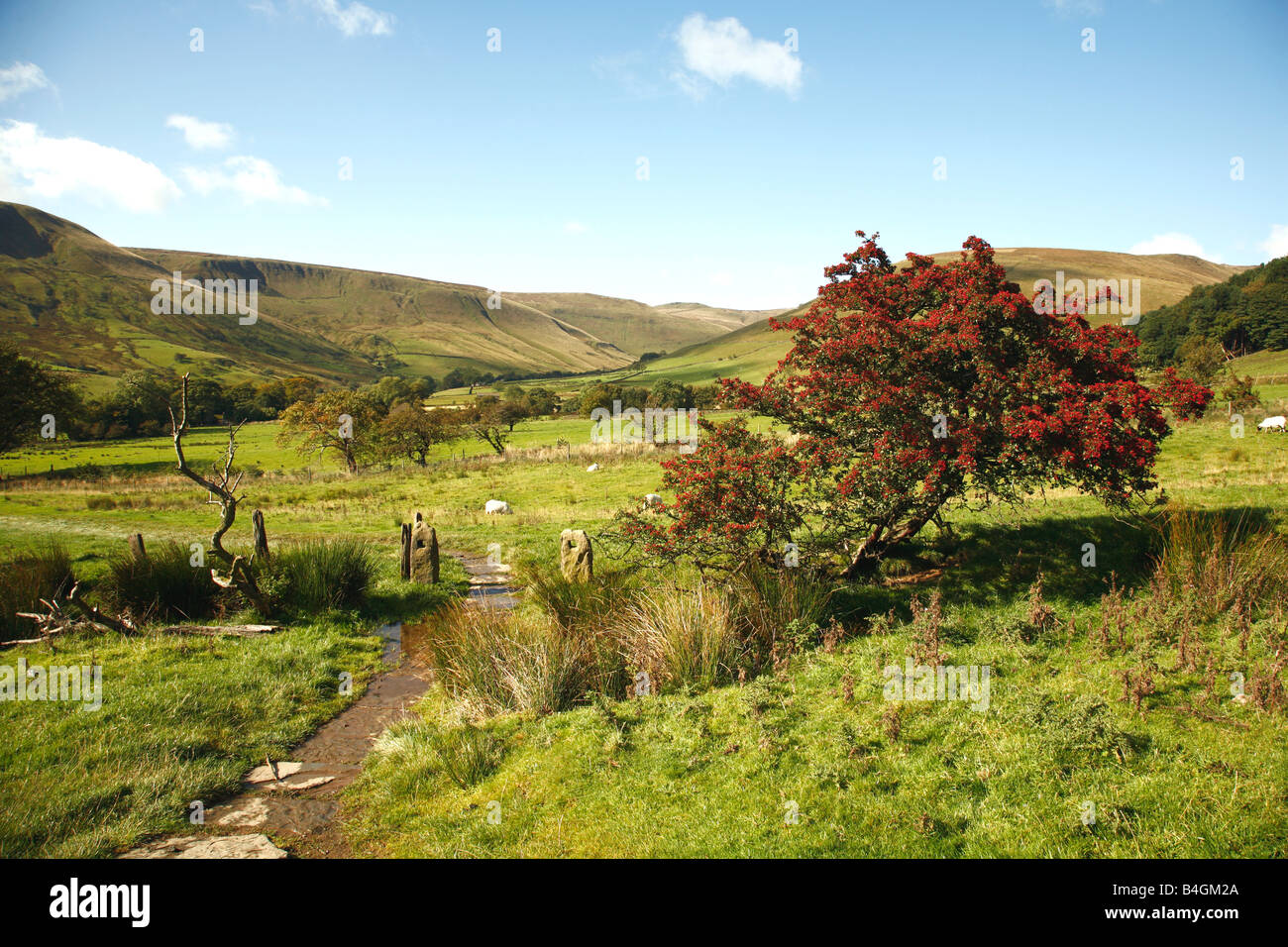 The Pennine way path near Upper Booth in the vale of Edale,Peak ...