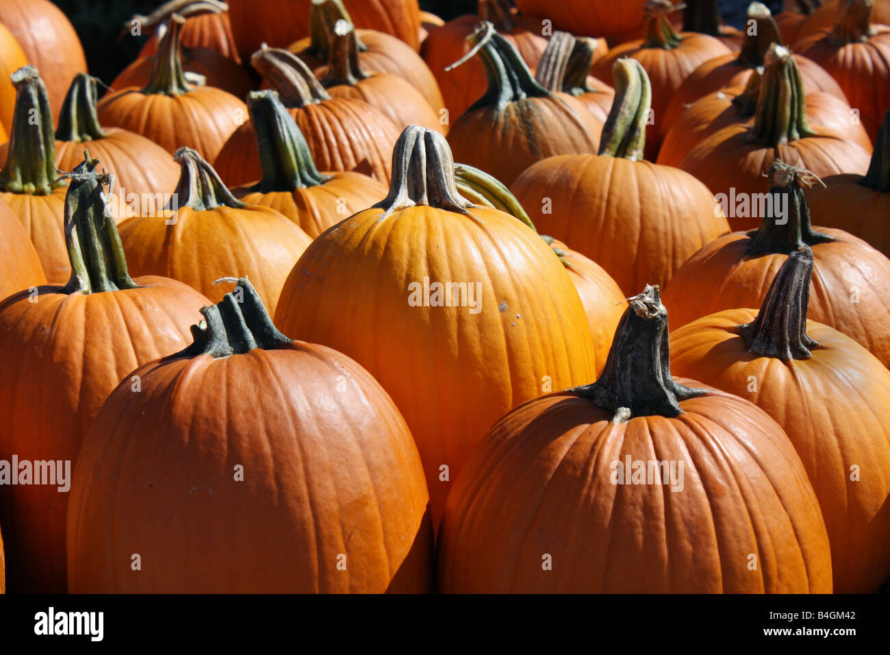 Stand hi res hi-res stock photography and images - Alamy