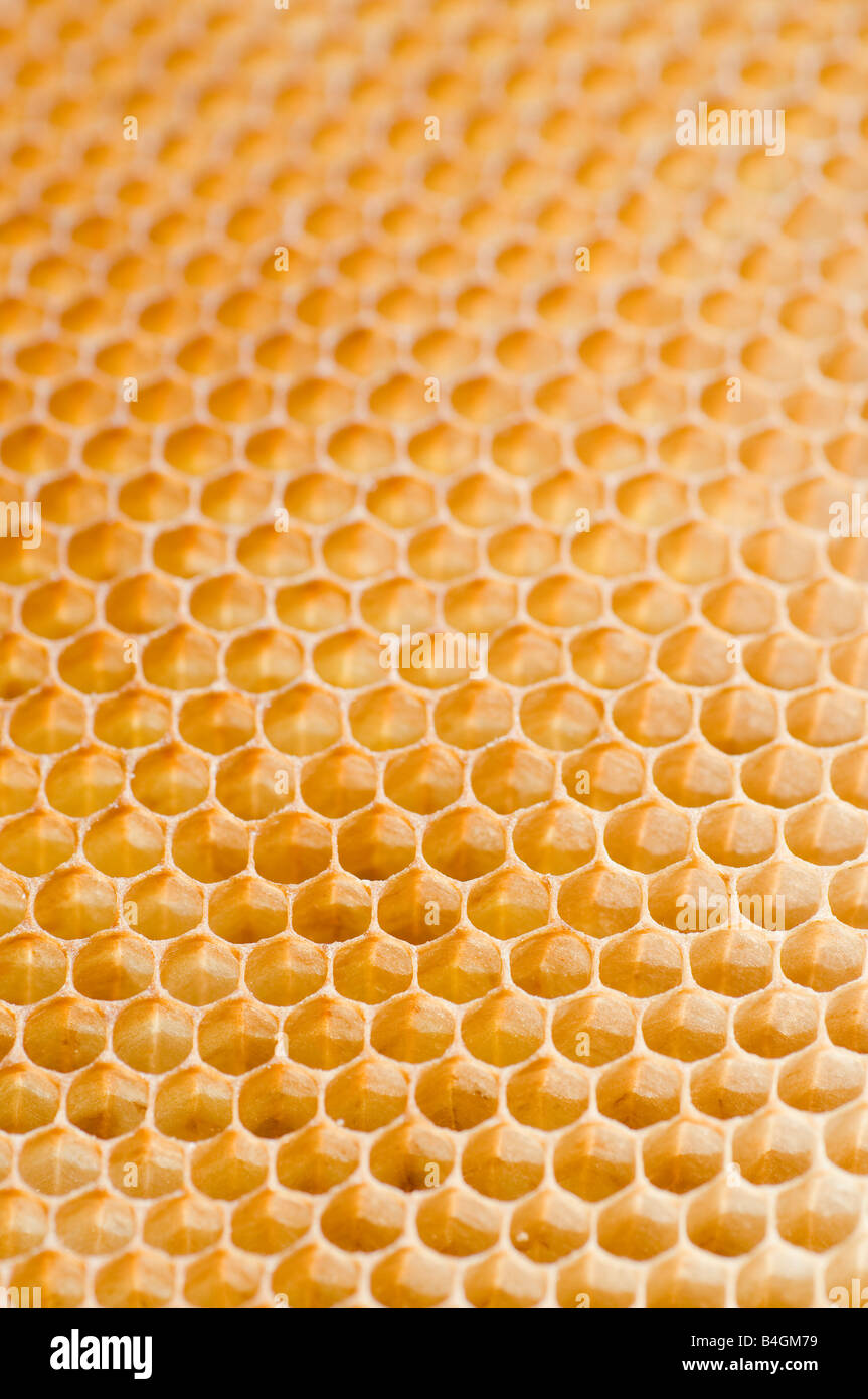 Honeycomb hi-res stock photography and images - Alamy