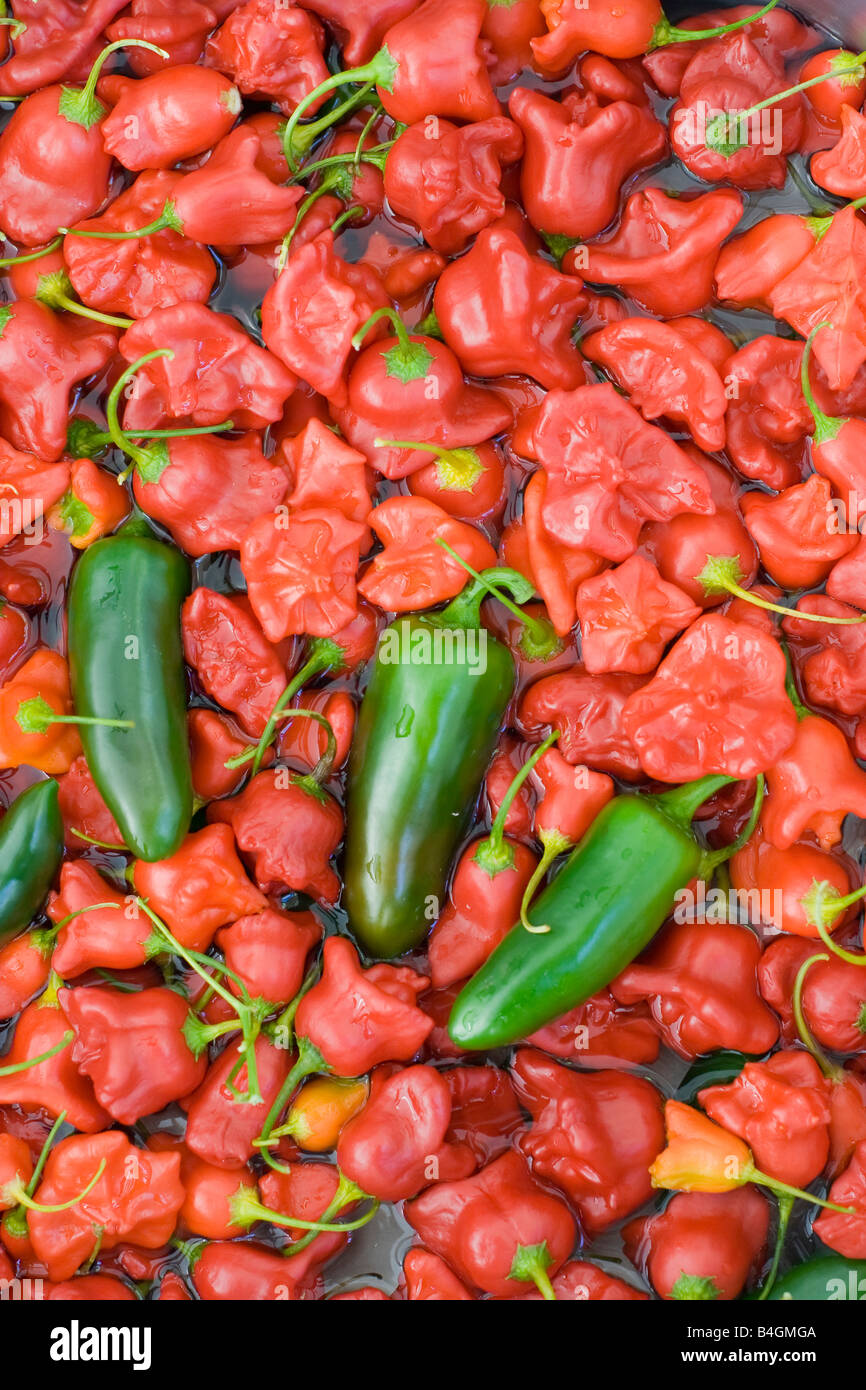 Green and red bonnet chillies hi-res stock photography and images - Alamy